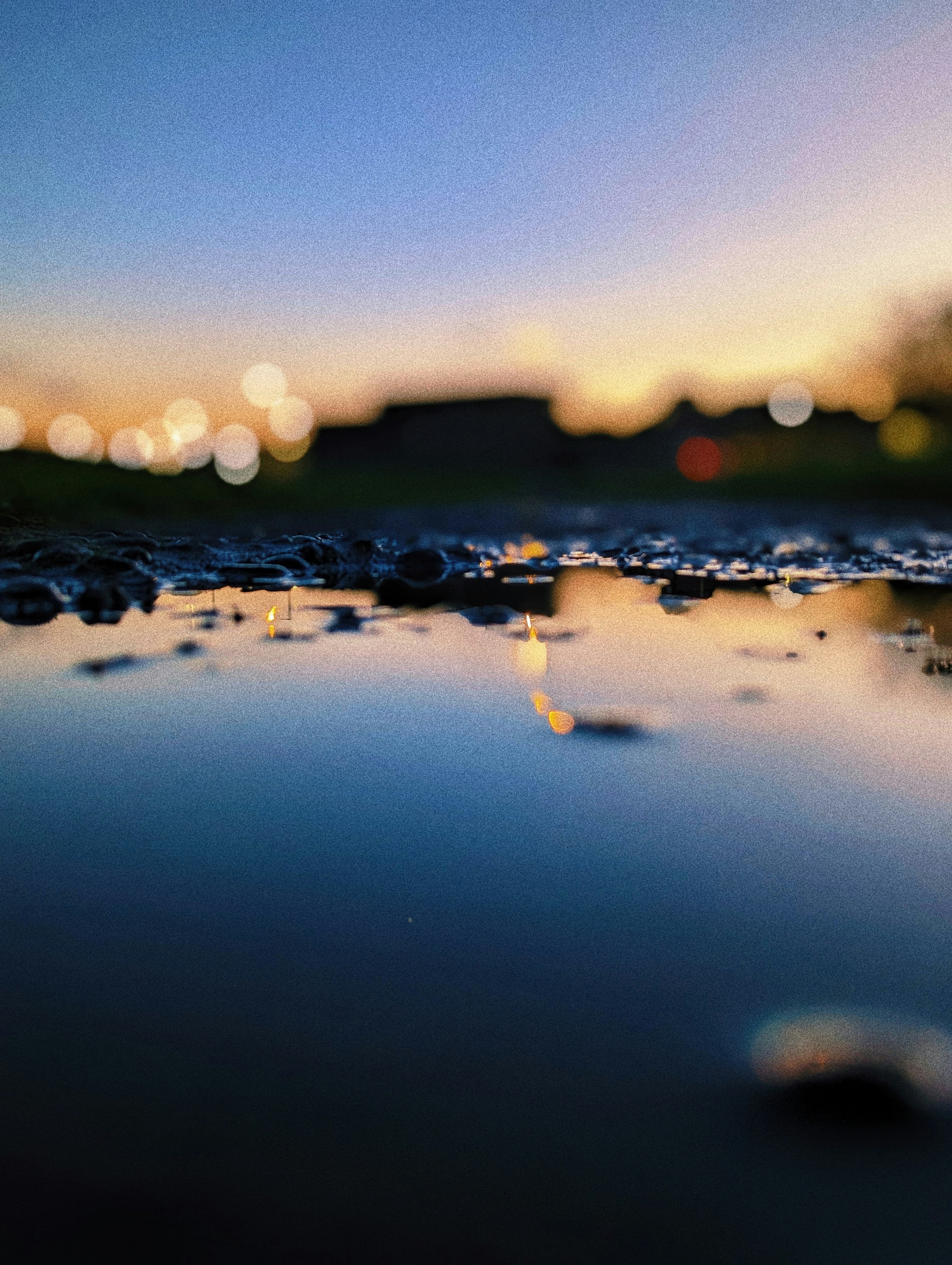 Twilight Puddle: Reflections and Neon Orbs in a Quiet Close-Up