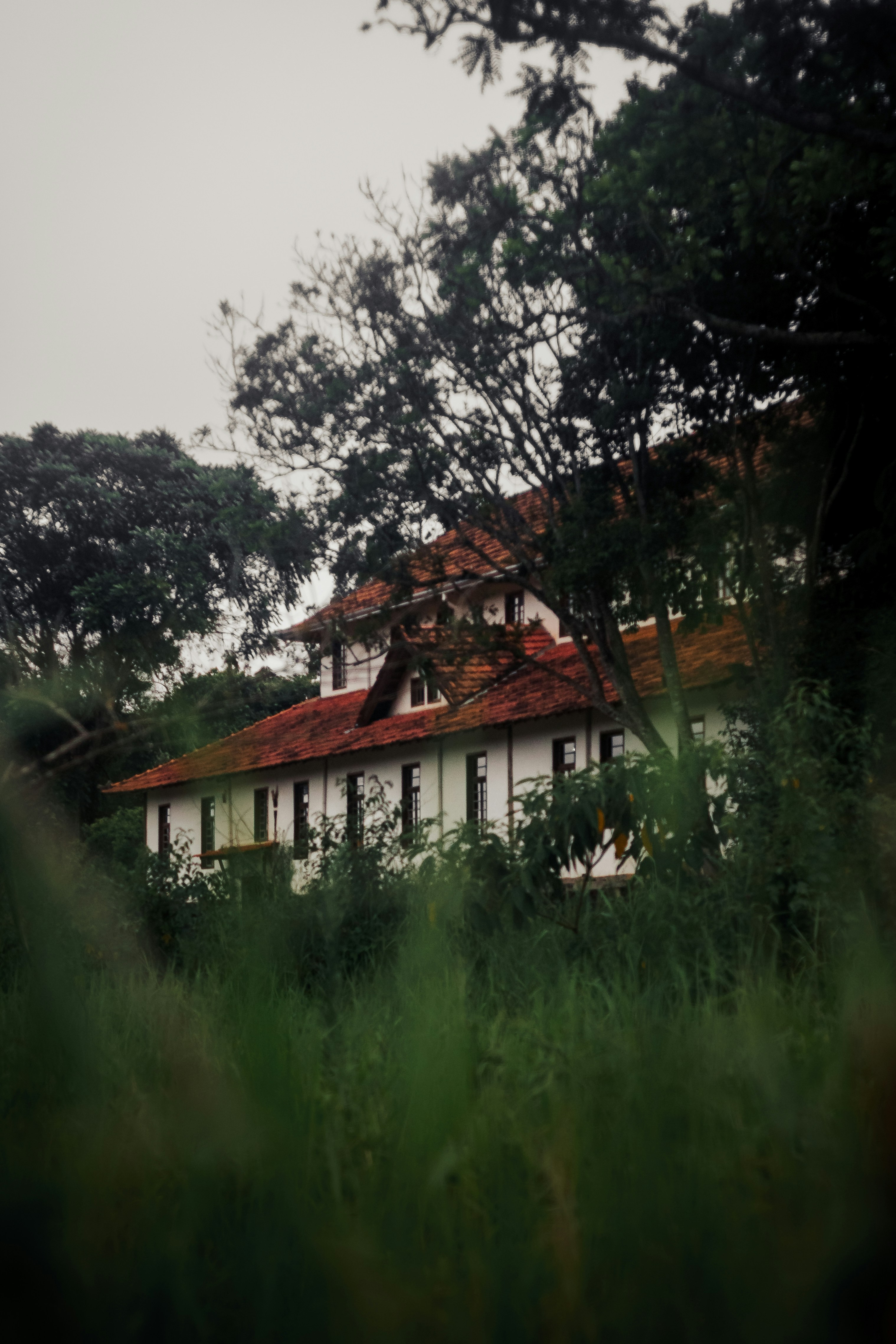 1000+ Nature House Pictures | Download Free Images on Unsplash