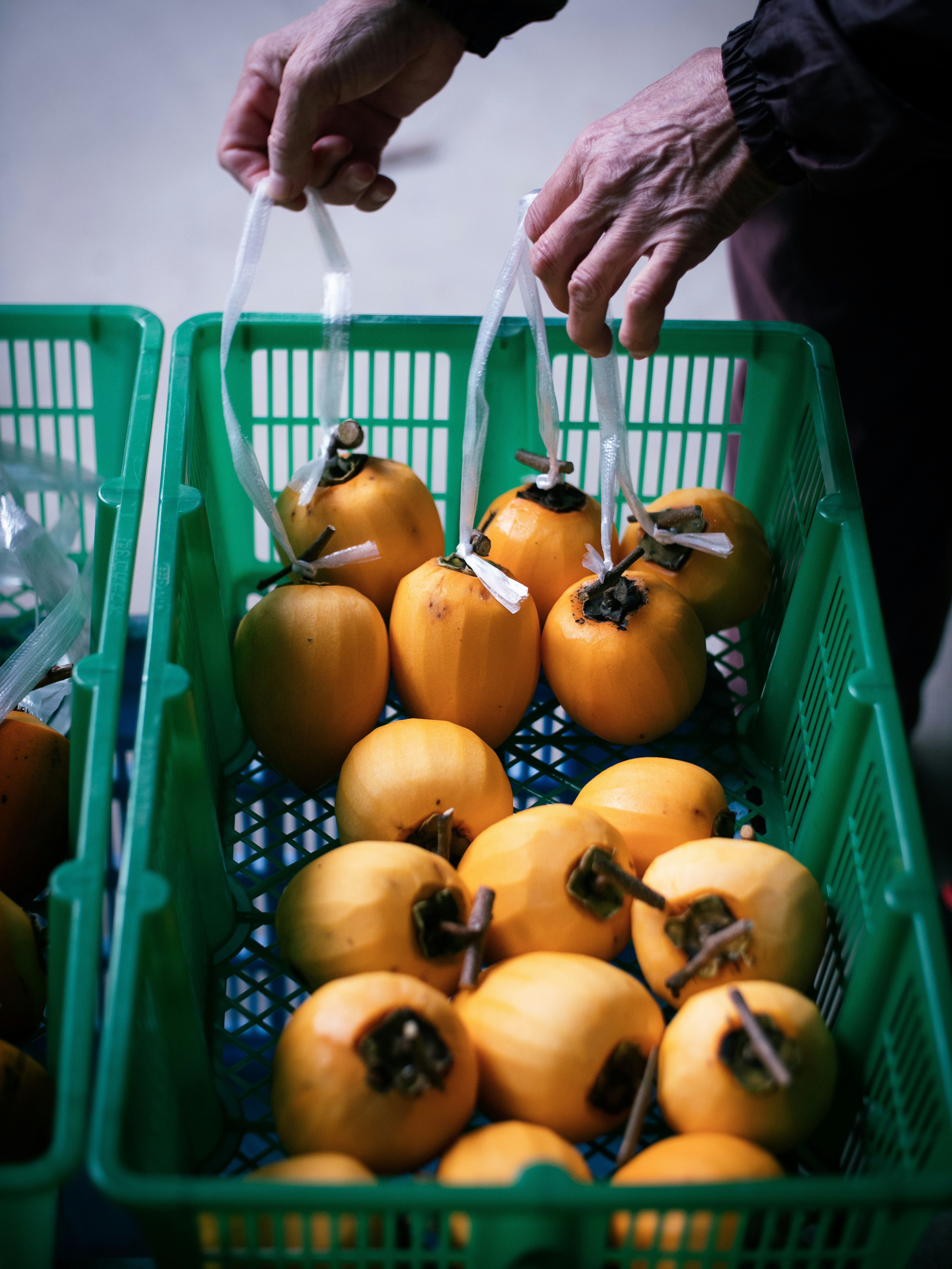 Persimmons in Transit: Bright Orange Orbs Nestled in Green Crates
