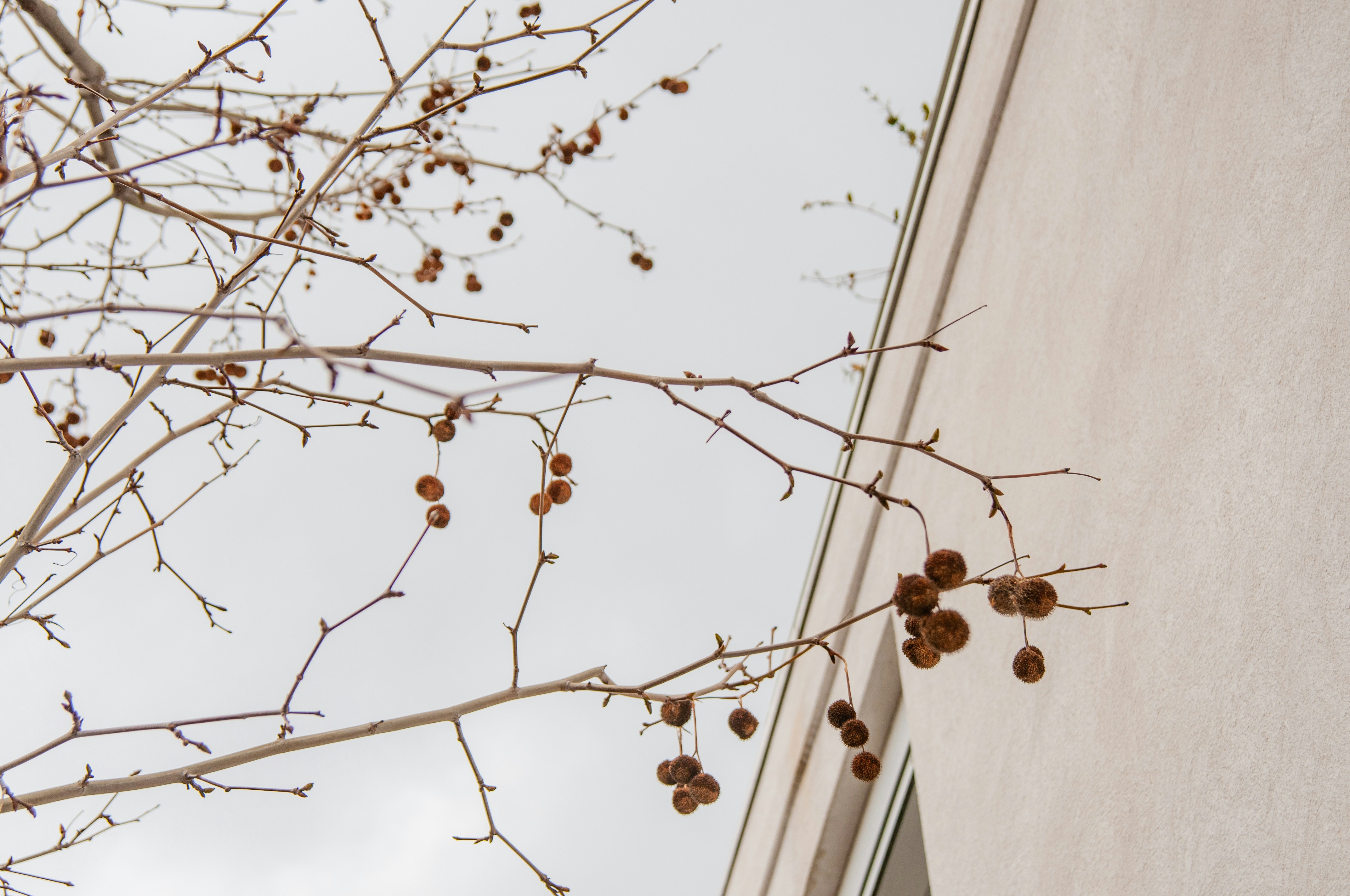 Photo by Natalia Gusakova with Nikon D300S