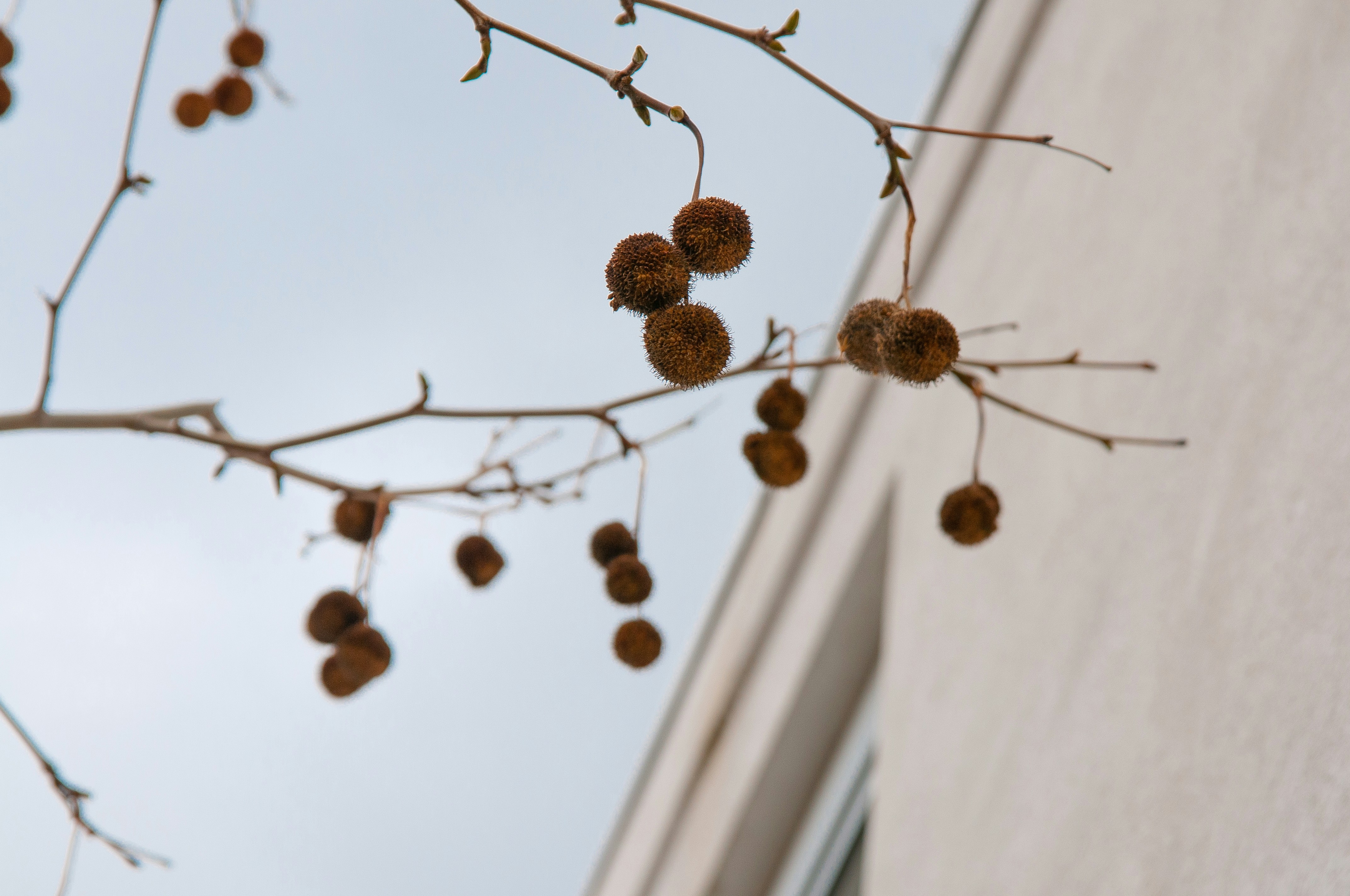 Photo by Natalia Gusakova with Nikon D300S