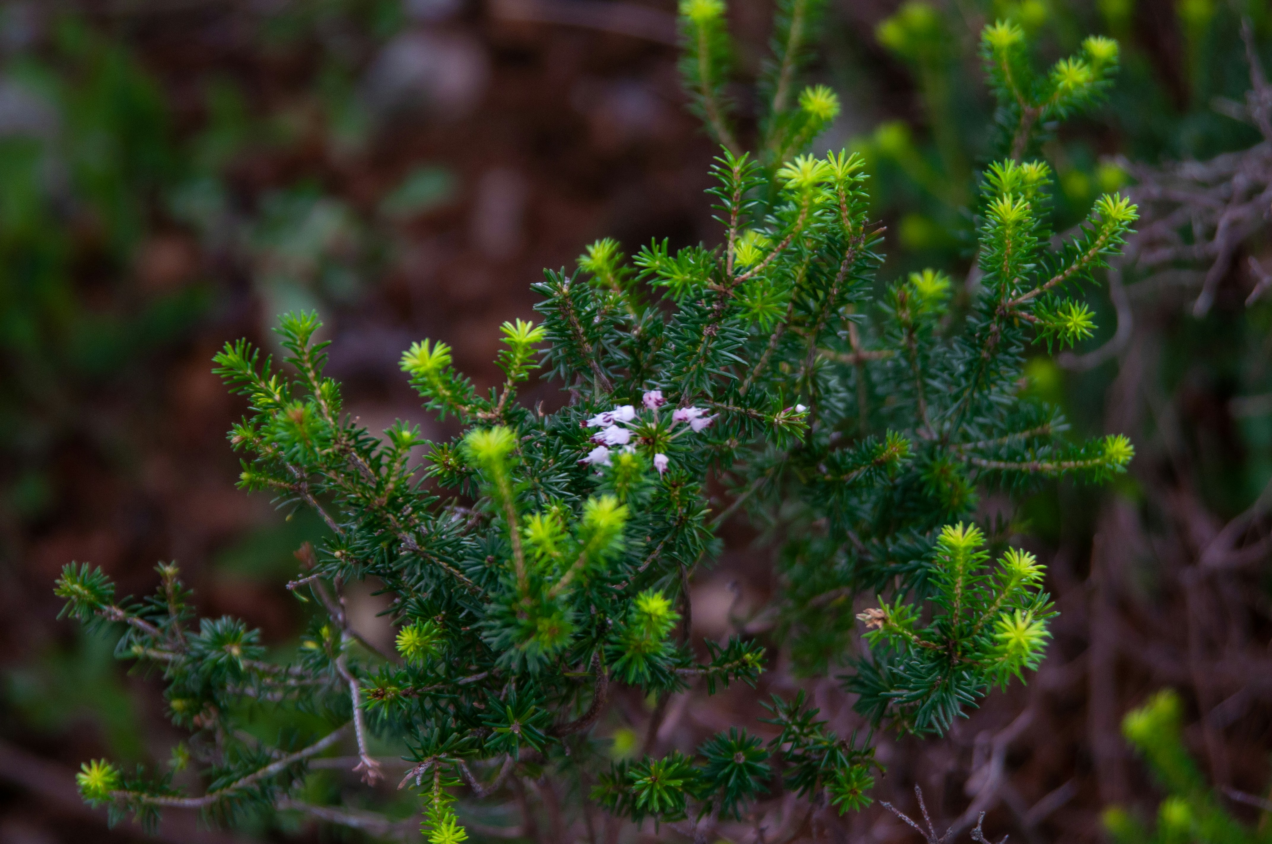 Photo by Natalia Gusakova with Nikon D300S