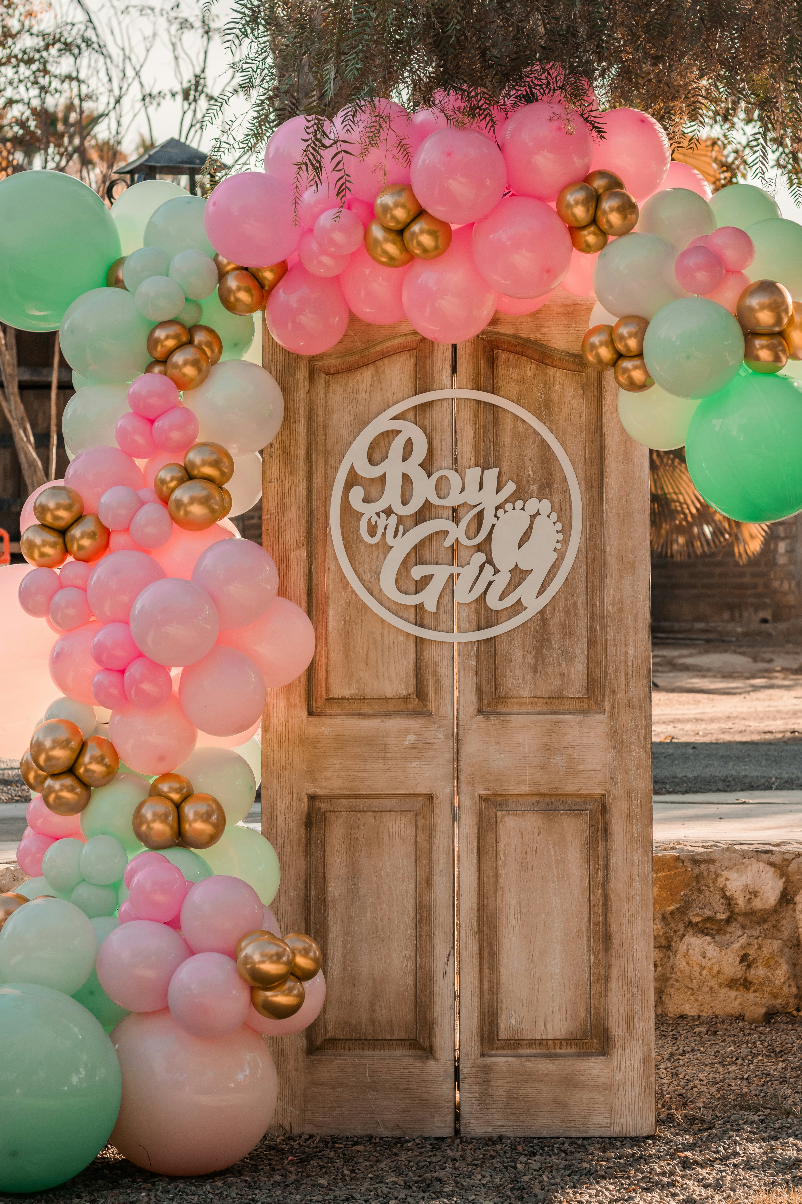 Pastel Archway to a Gender Reveal Dream