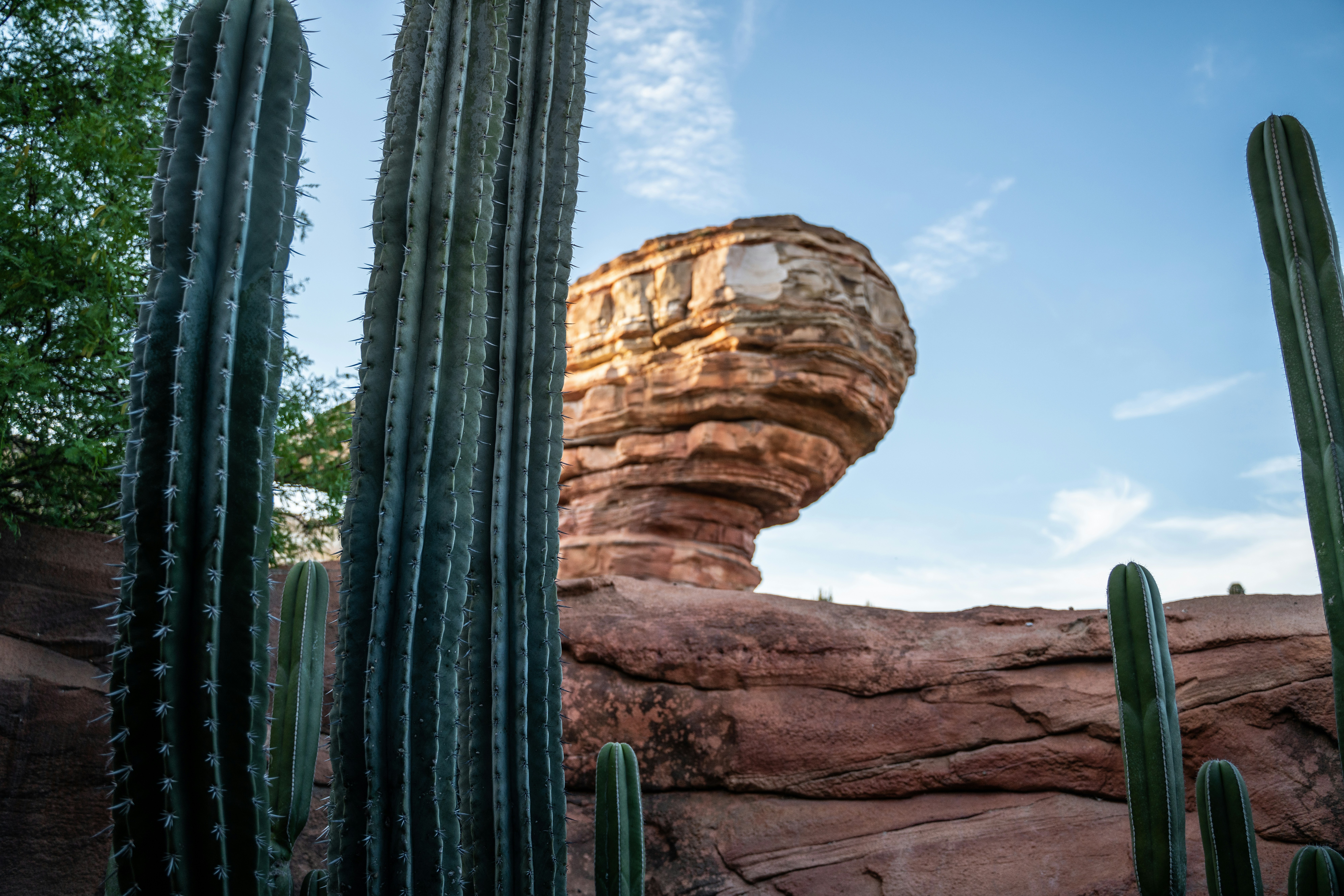 Balancing Spires: Cacti Framing a Weathered Arch