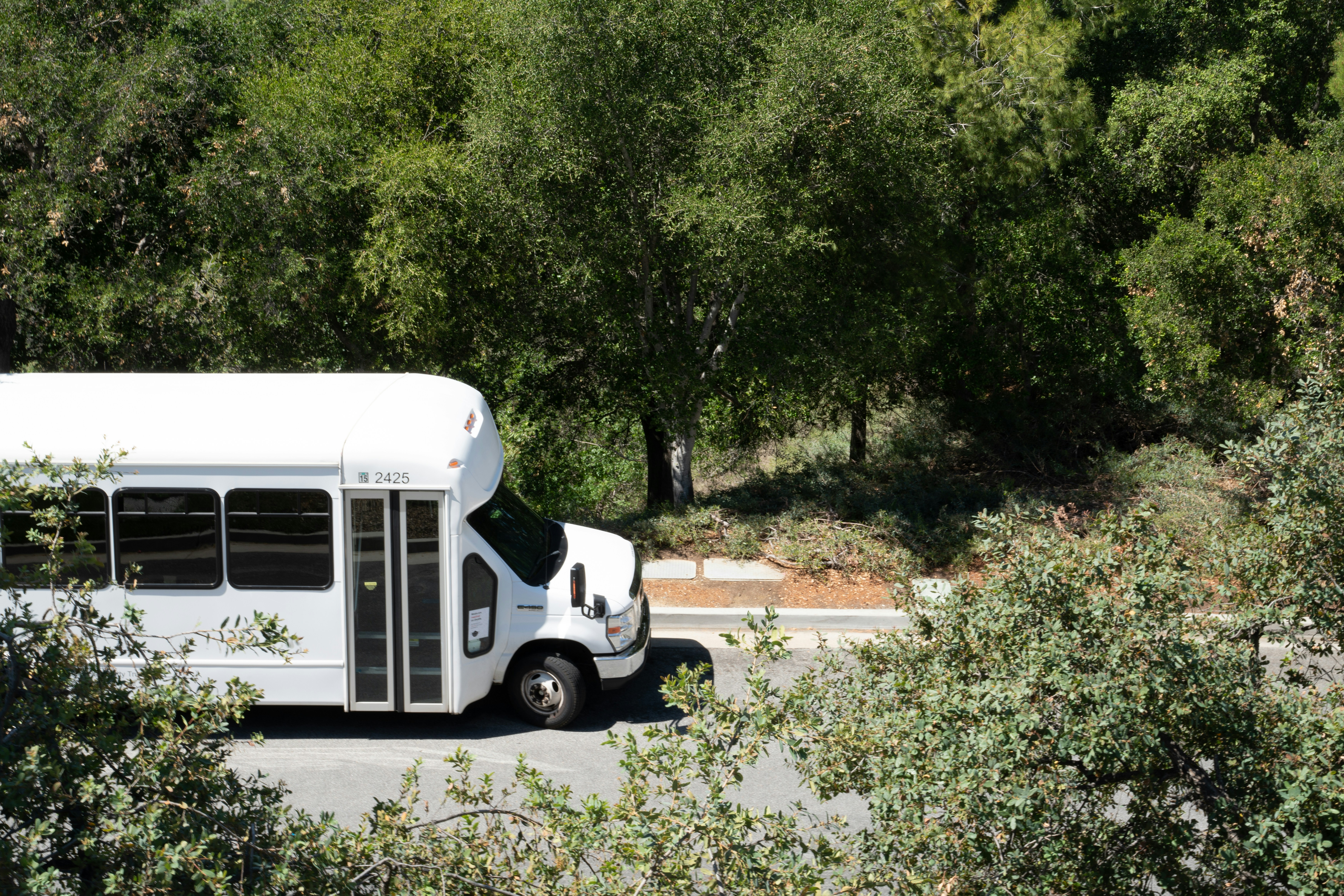 Dappled Light on a School Bus Through a Green Corridor
