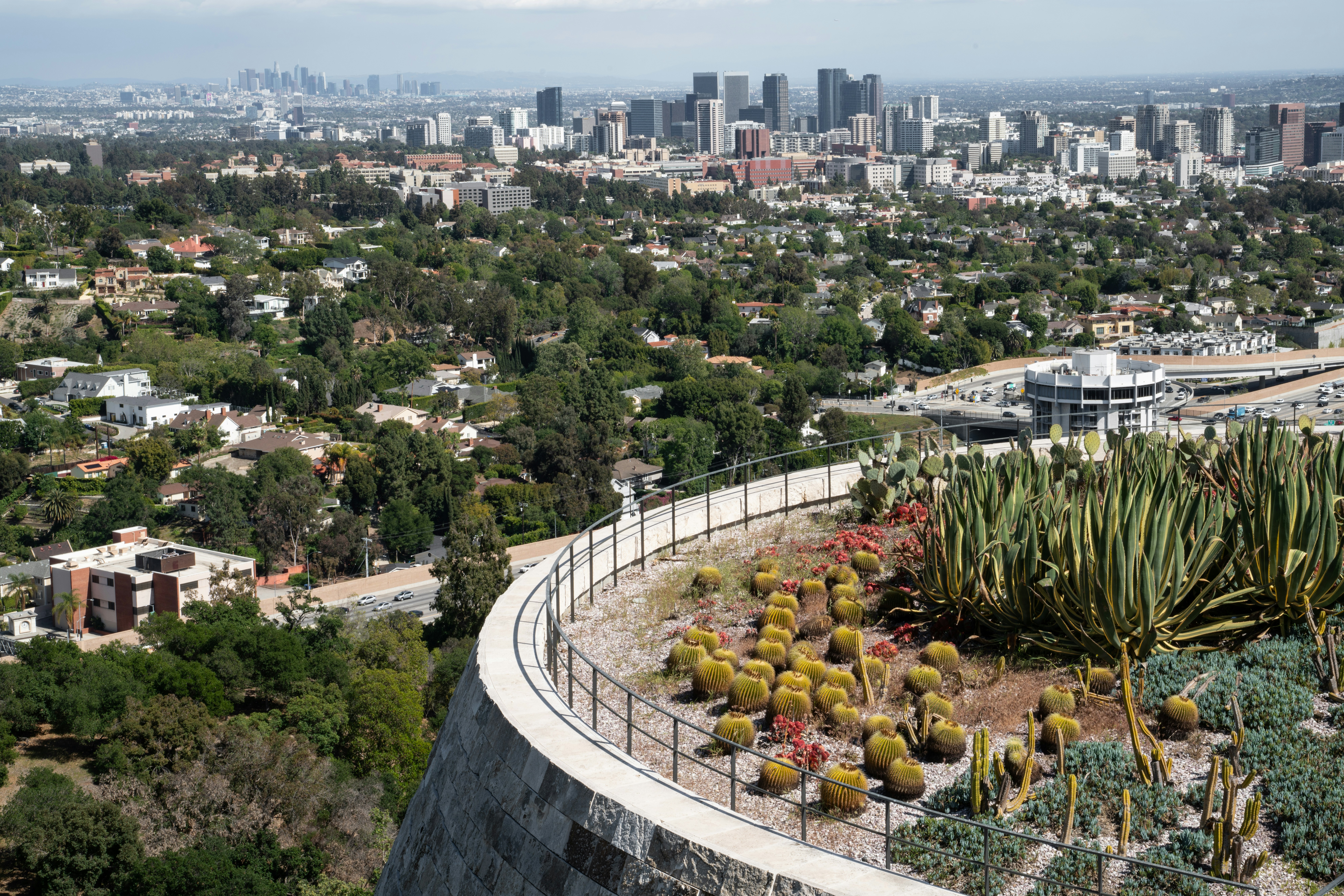 Terraced Edge: Cacti Framing the Cityline