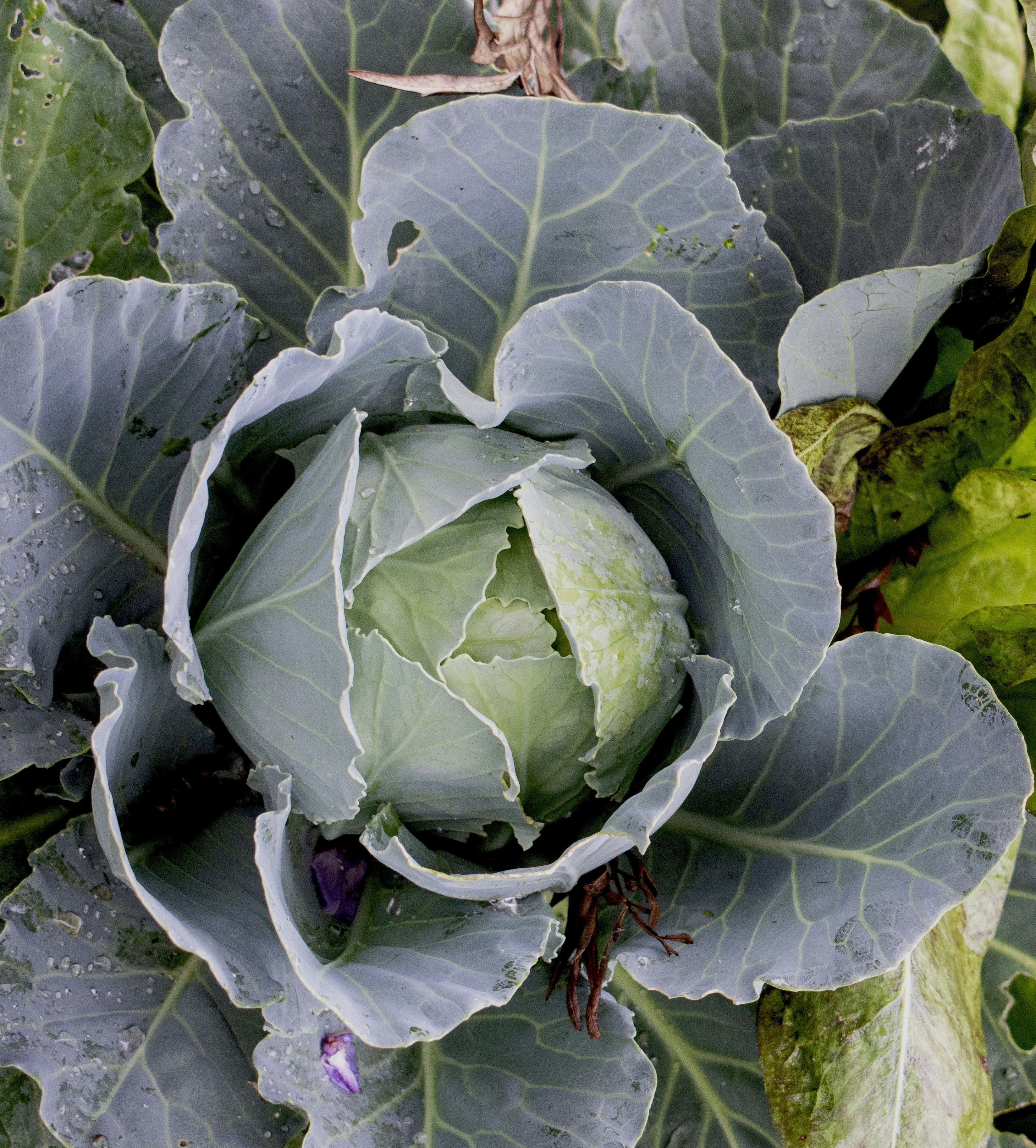 Photo by Don Ricardo with Nikon D5200