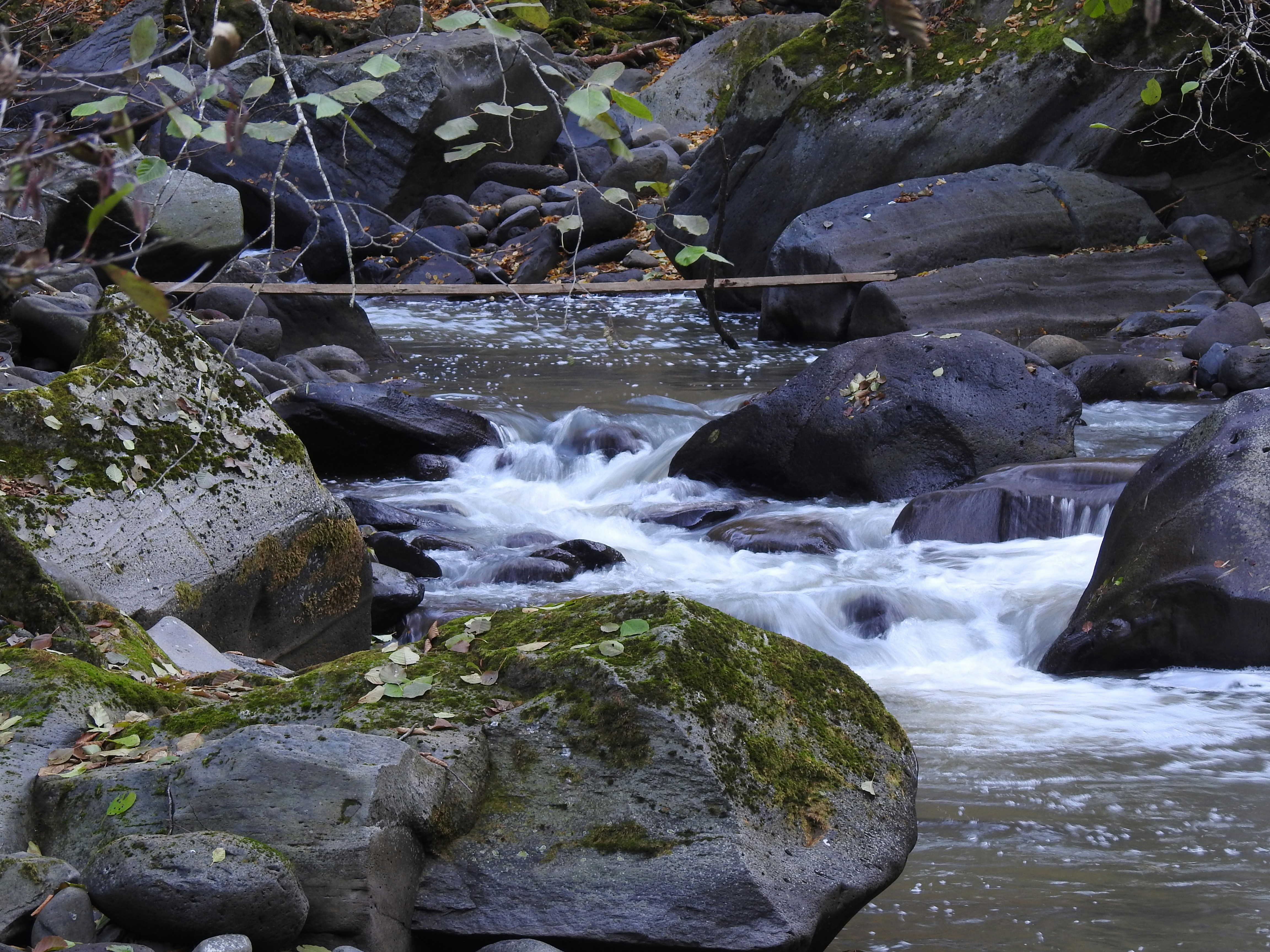 Une rivière avec des roches et des plantes photo – Photo Géorgie ...