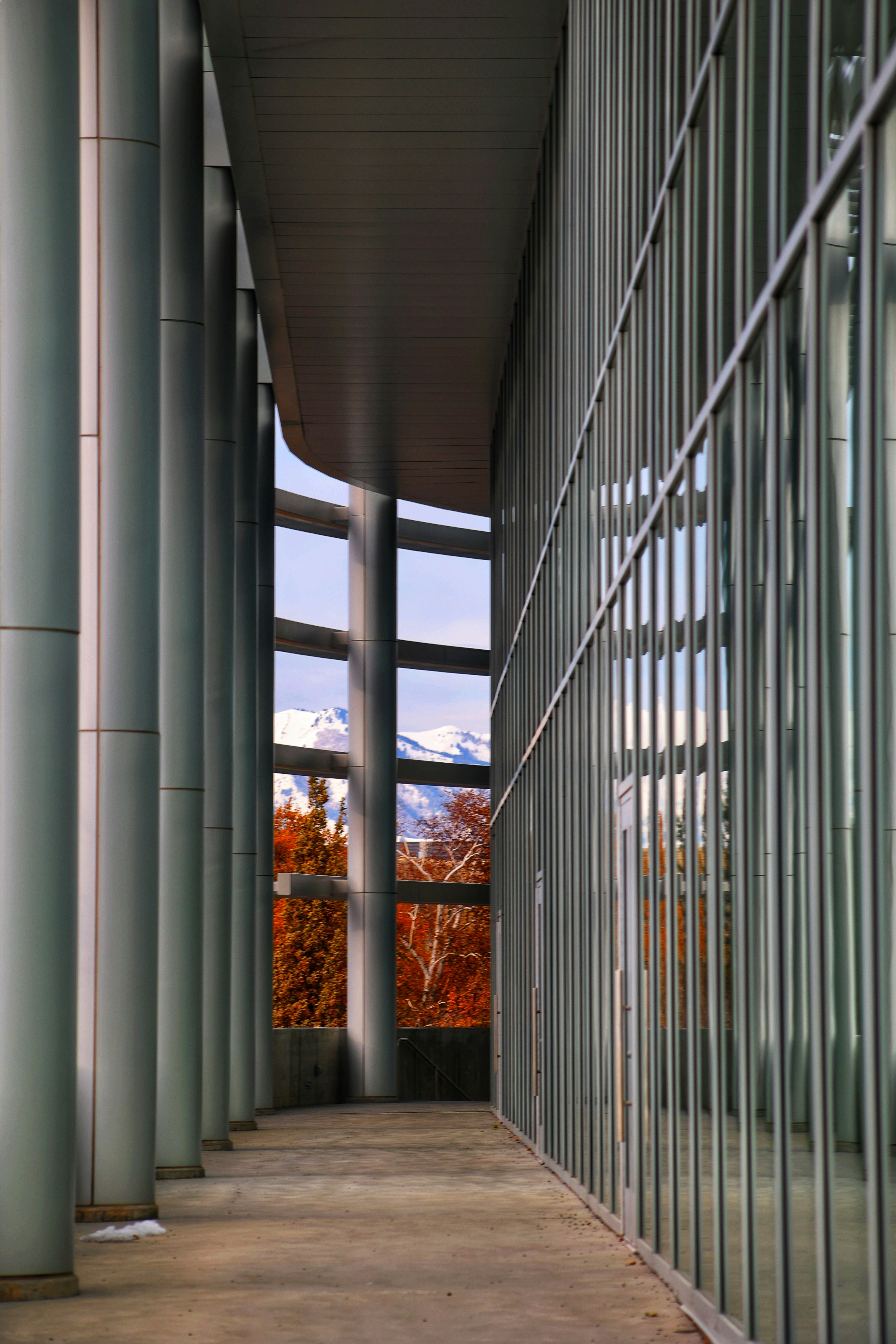 A long hallway with metal bars photo – Free Building Image on Unsplash
