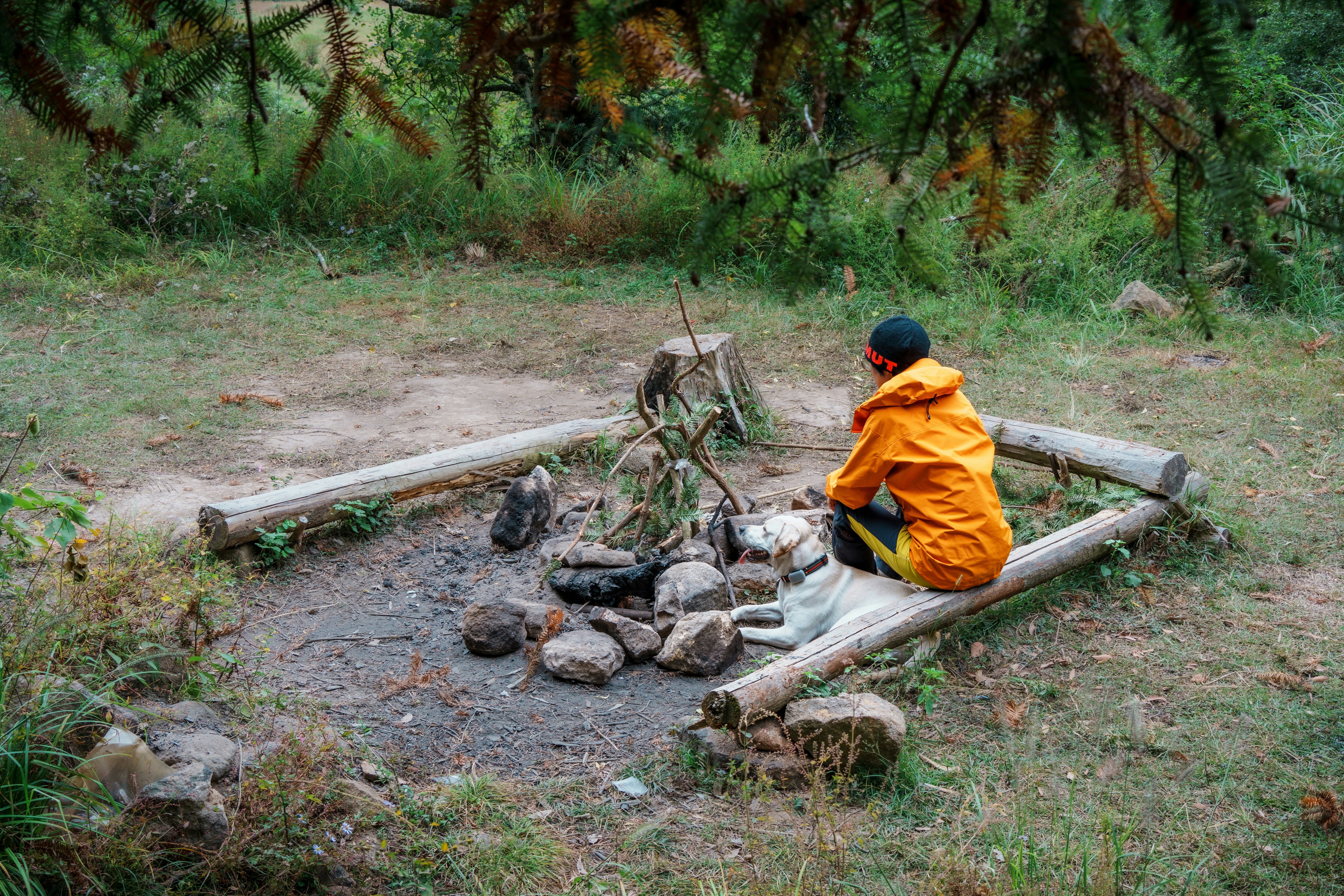 A man sitting on a log photo – Free Fuzhou Image on Unsplash