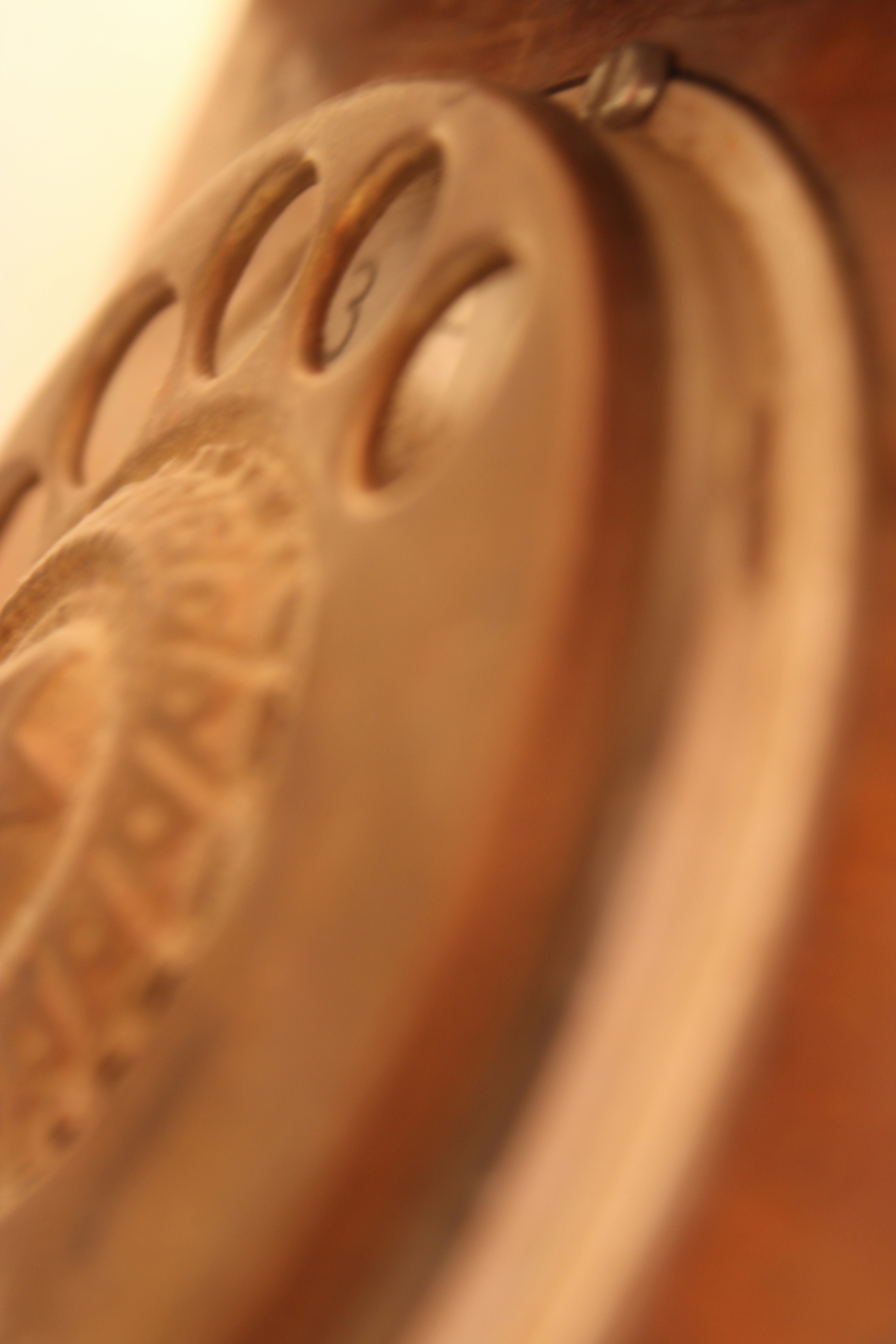 Amber Close-Up: Engraved Ring in Quiet Light