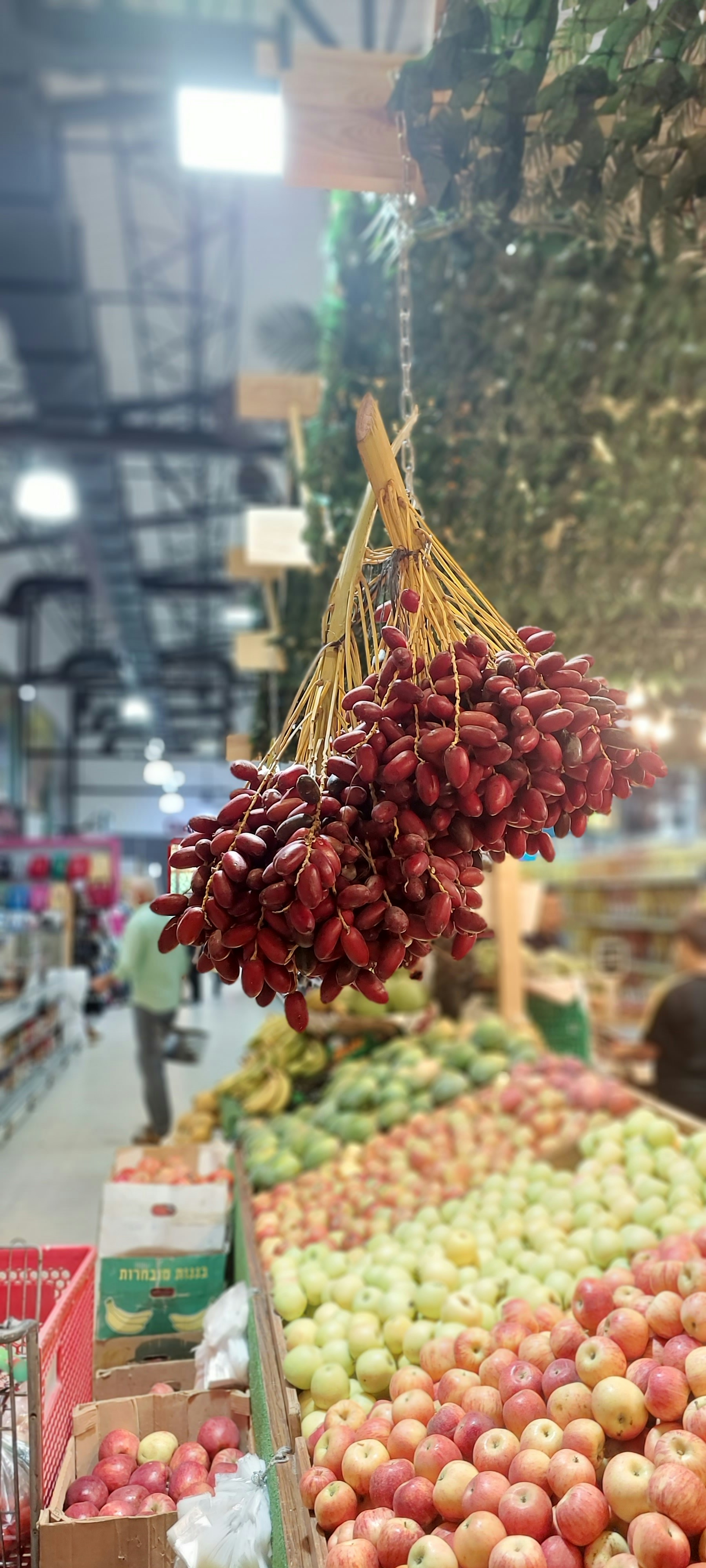 A fruit stand with a bunch of fruits photo – Free Adult Image on Unsplash