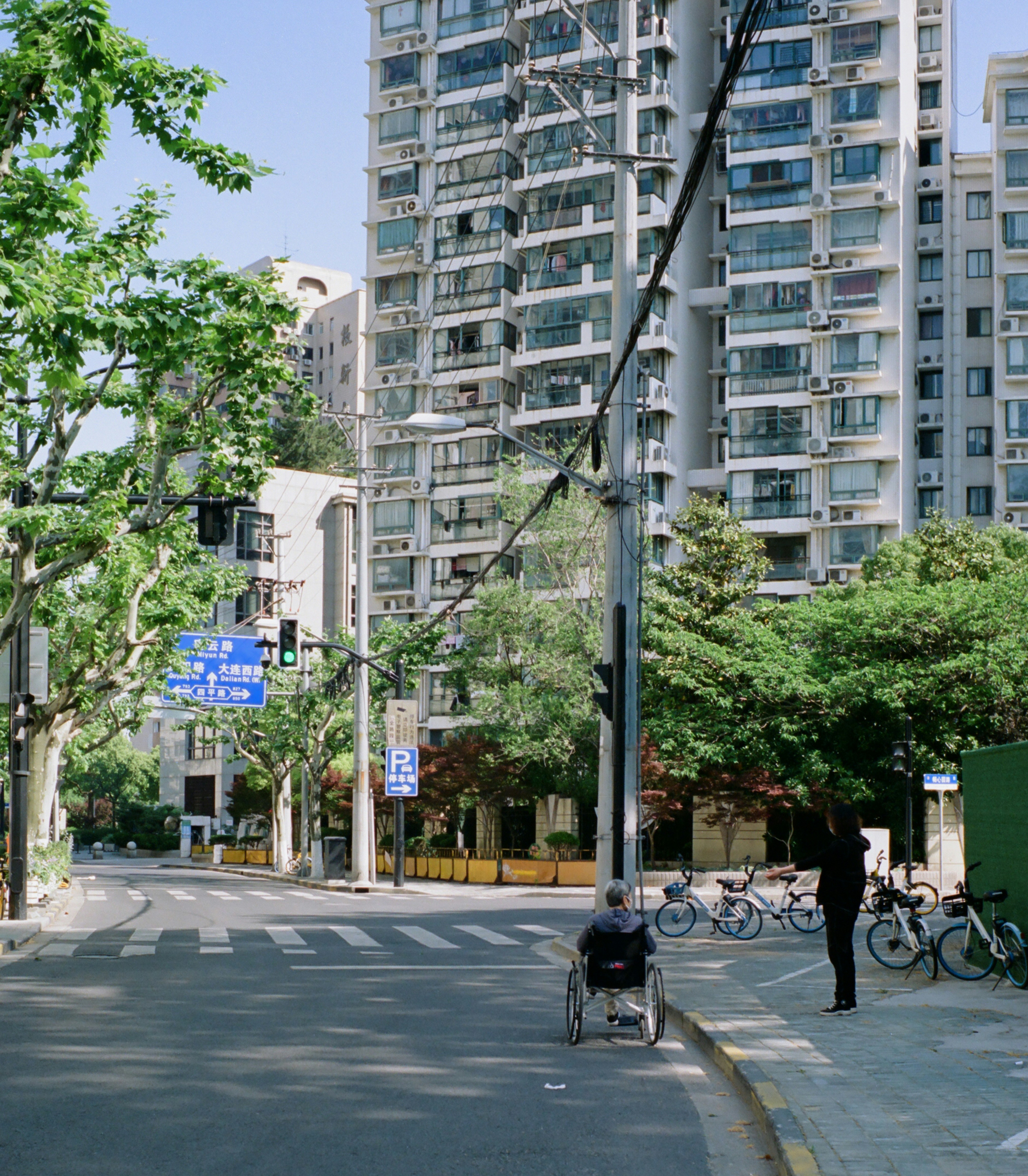 A person in a wheelchair sits at the edge of a bustling city street, surrounded by high-rise buildings and greenery.