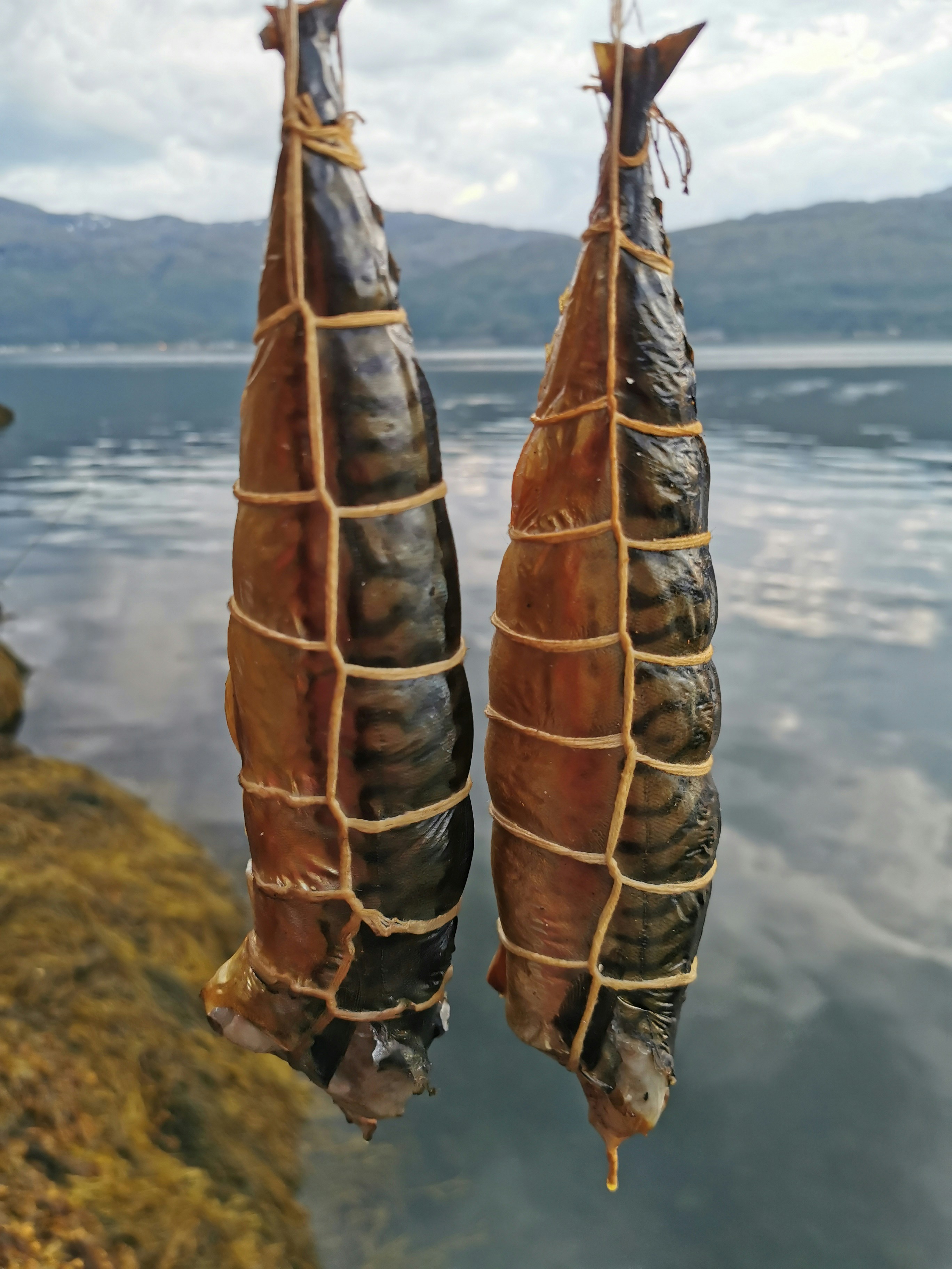 Two smoked fish suspended by twine against a serene lakeside backdrop, showcasing traditional preservation methods.