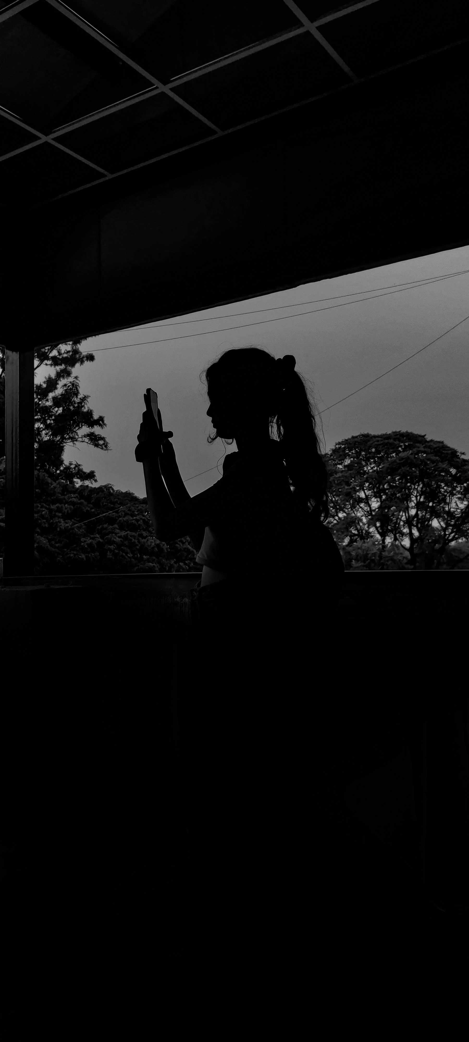 Silhouette of a person on a balcony holding a smartphone, outlined against a dim sky with distant trees.