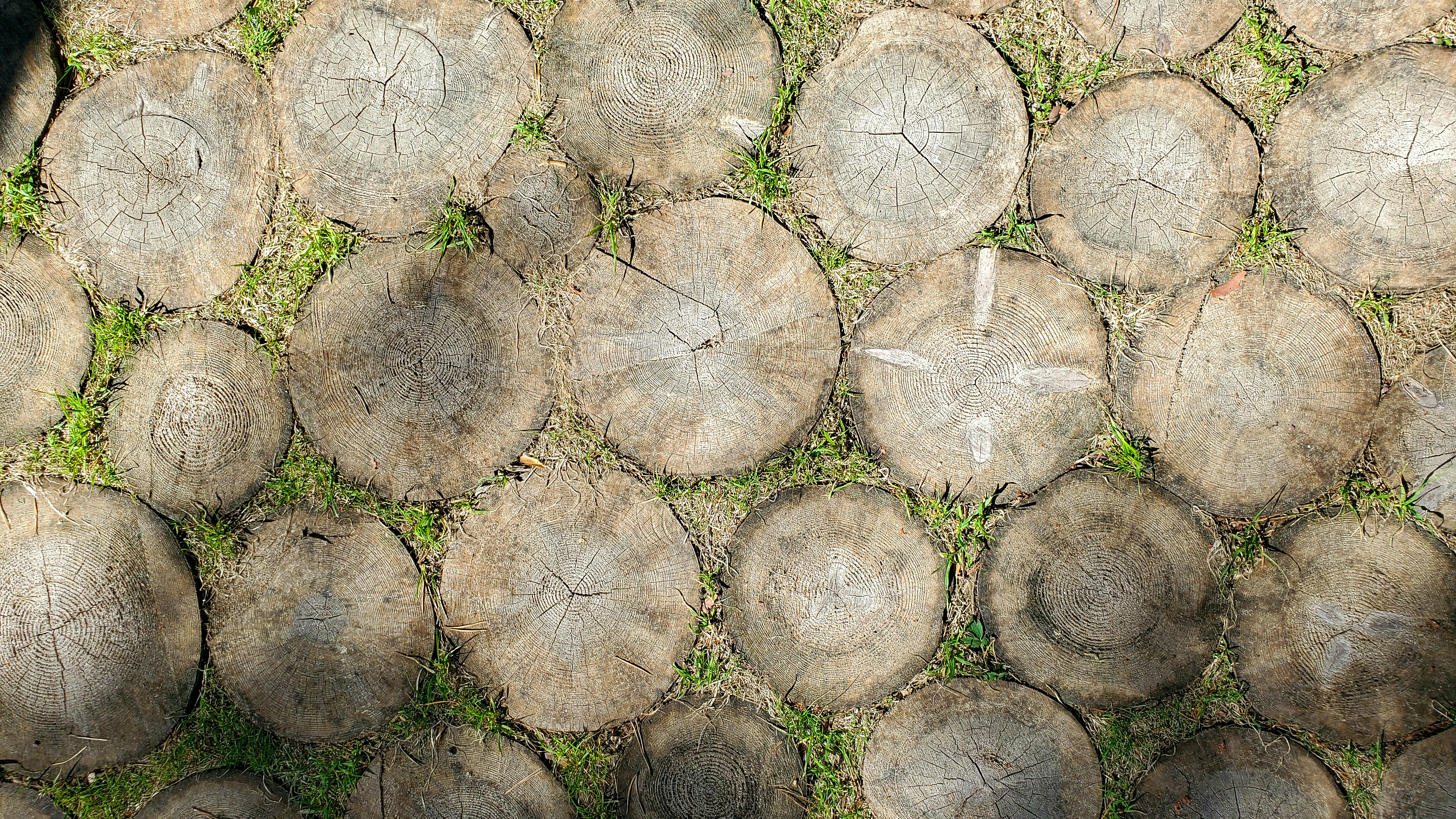 Circular Cobblestones: moss-framed Patina Path