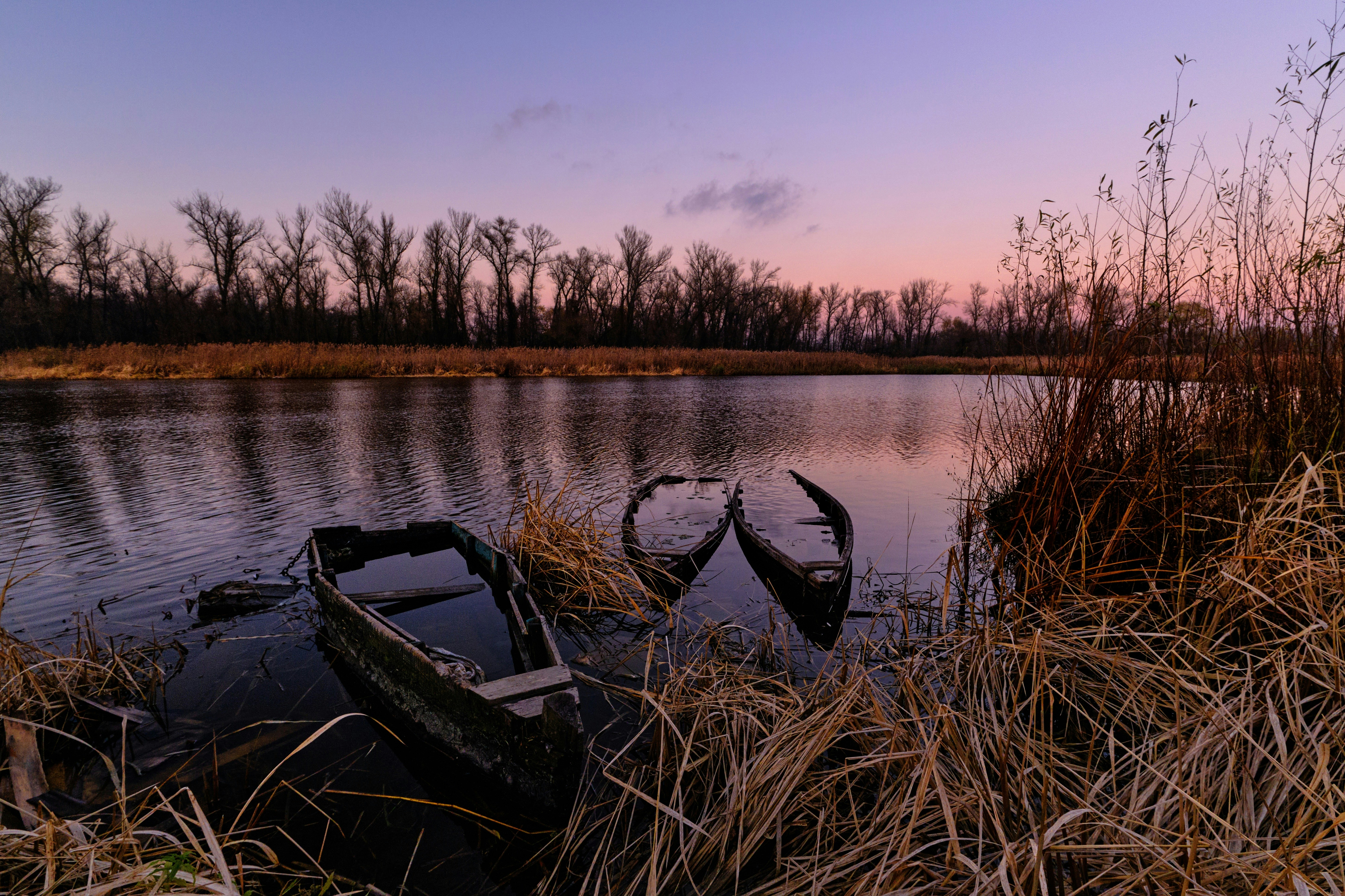 Forgotten Hulls by a Reed-Fringed Lake at Dusk