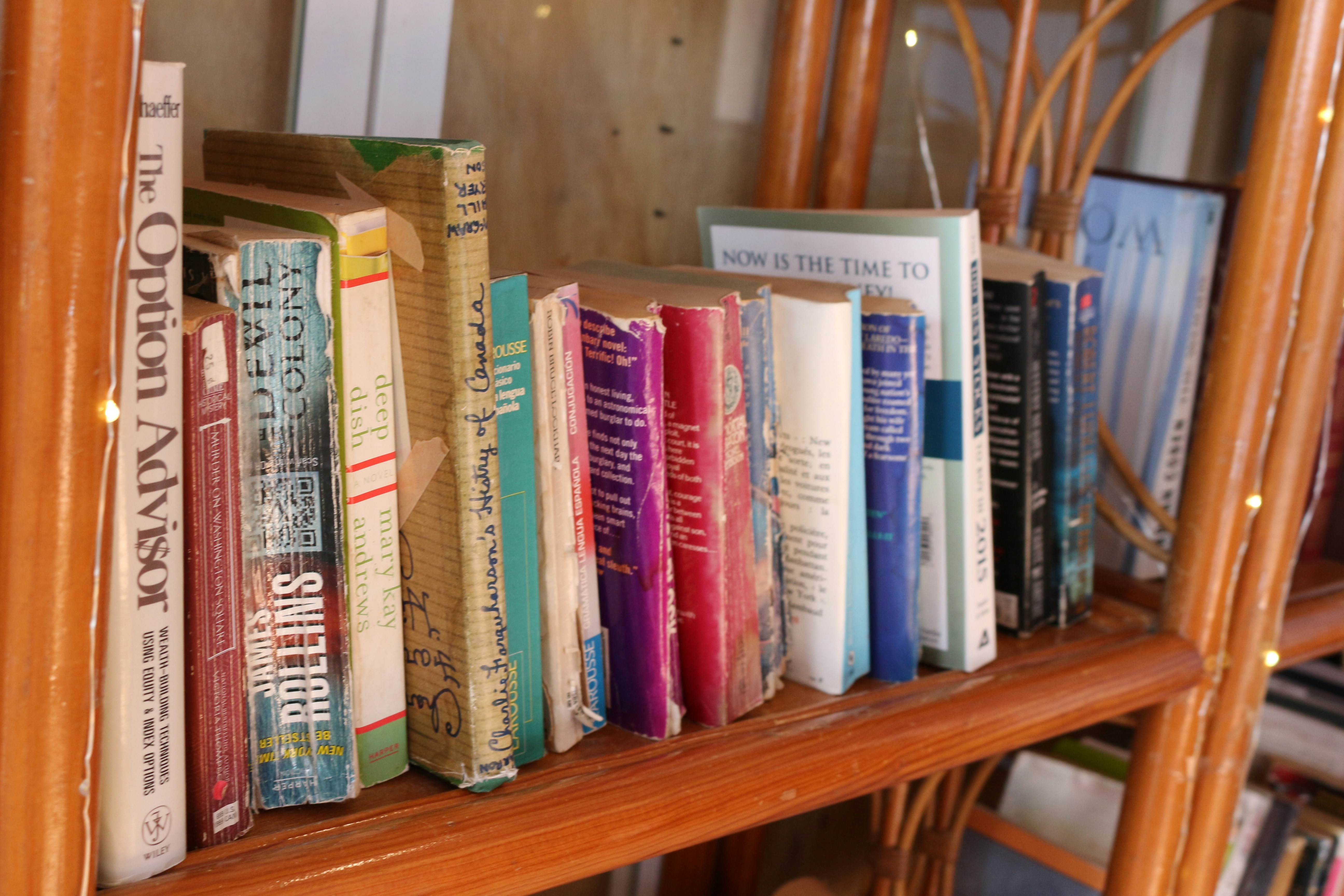 Shelf of well-loved volumes: a row of colorful spines lining a wooden bookcase