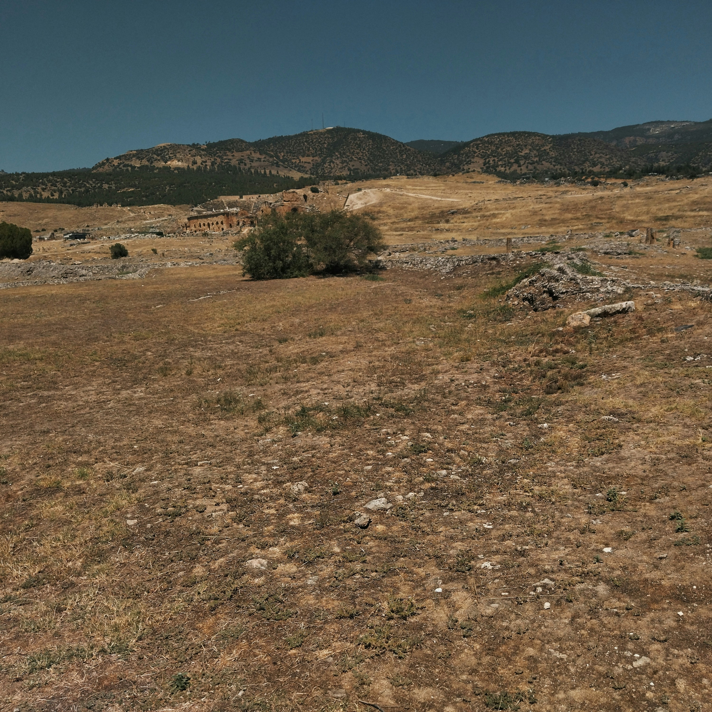 Arid terrain with scattered stones and sparse vegetation, showcasing remnants of historical architecture in the distance. A clear blue sky stretches overhead.