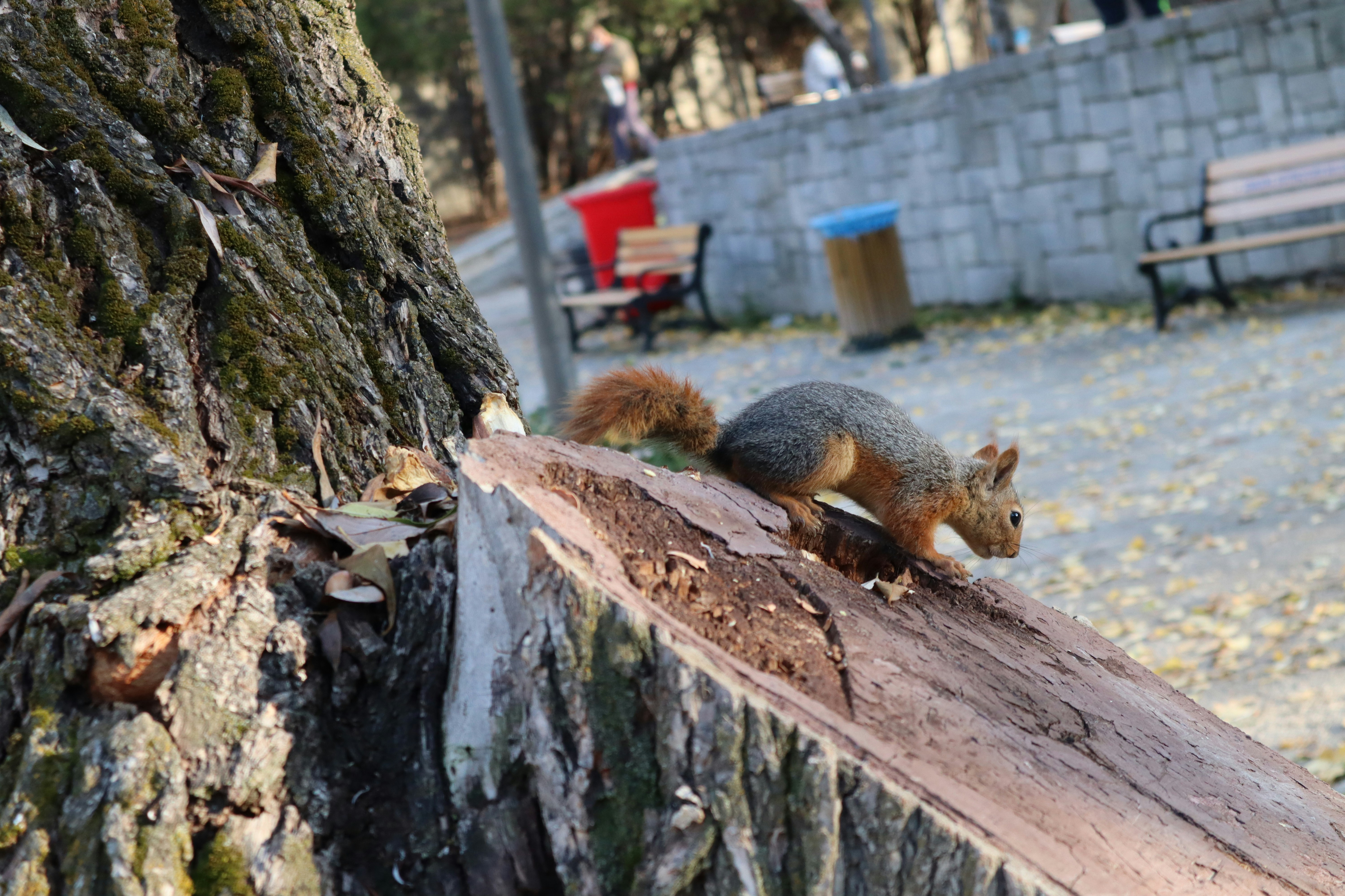 Haneen Alqatanani (@nostalgiaq) | Unsplash 사진 커뮤니티