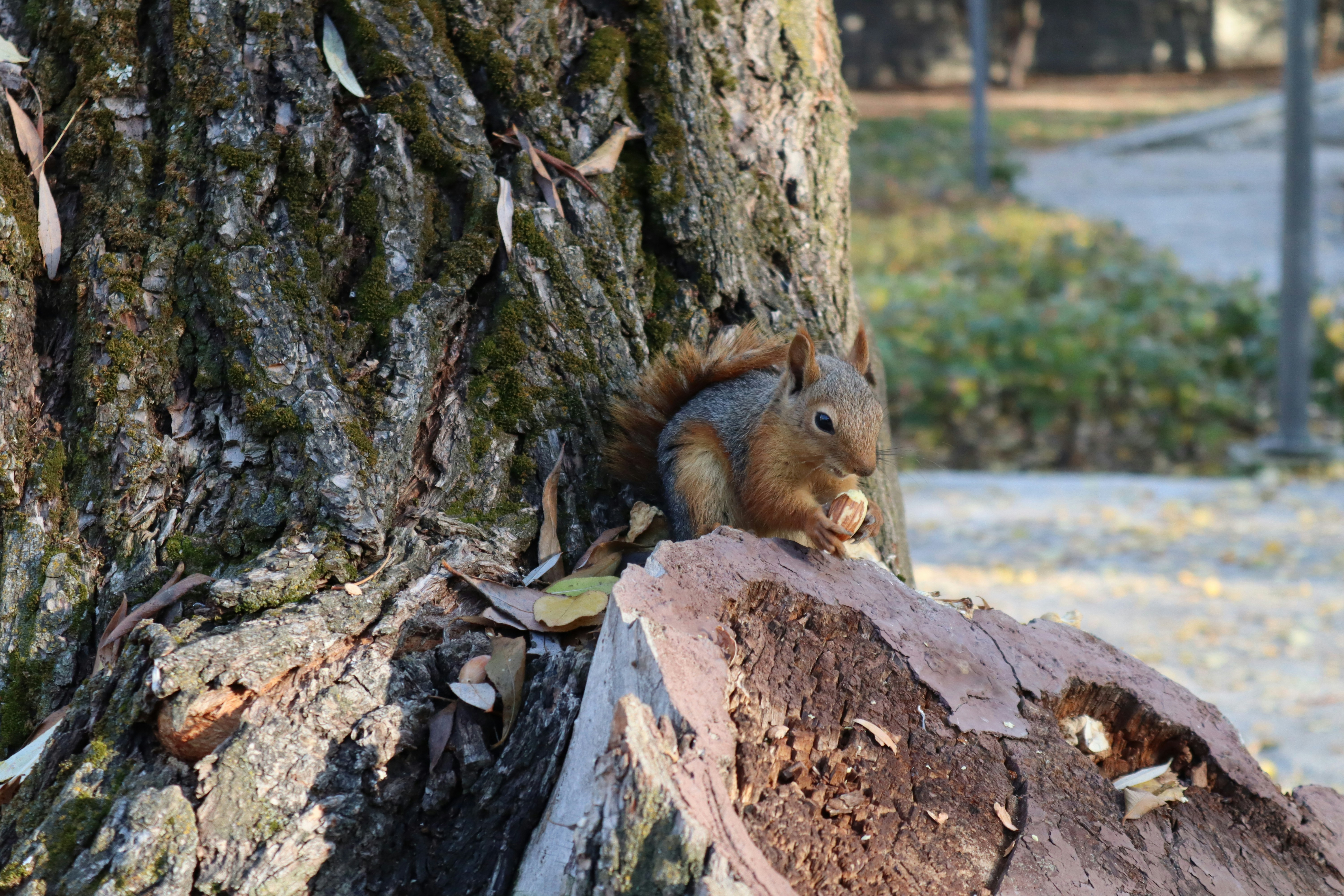 Haneen Alqatanani (@nostalgiaq) | Unsplash 사진 커뮤니티