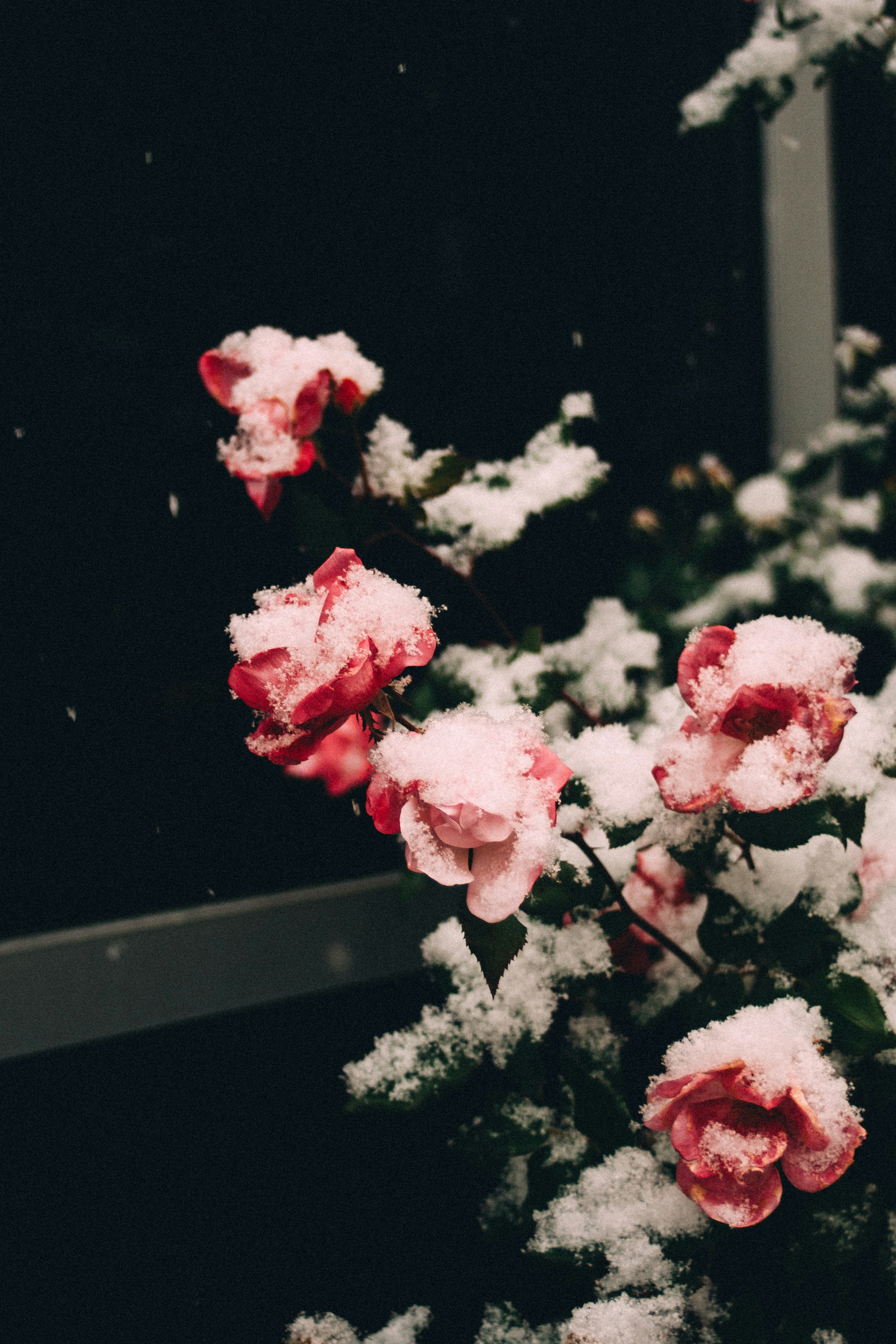 Tumblr Indie Wallpapers