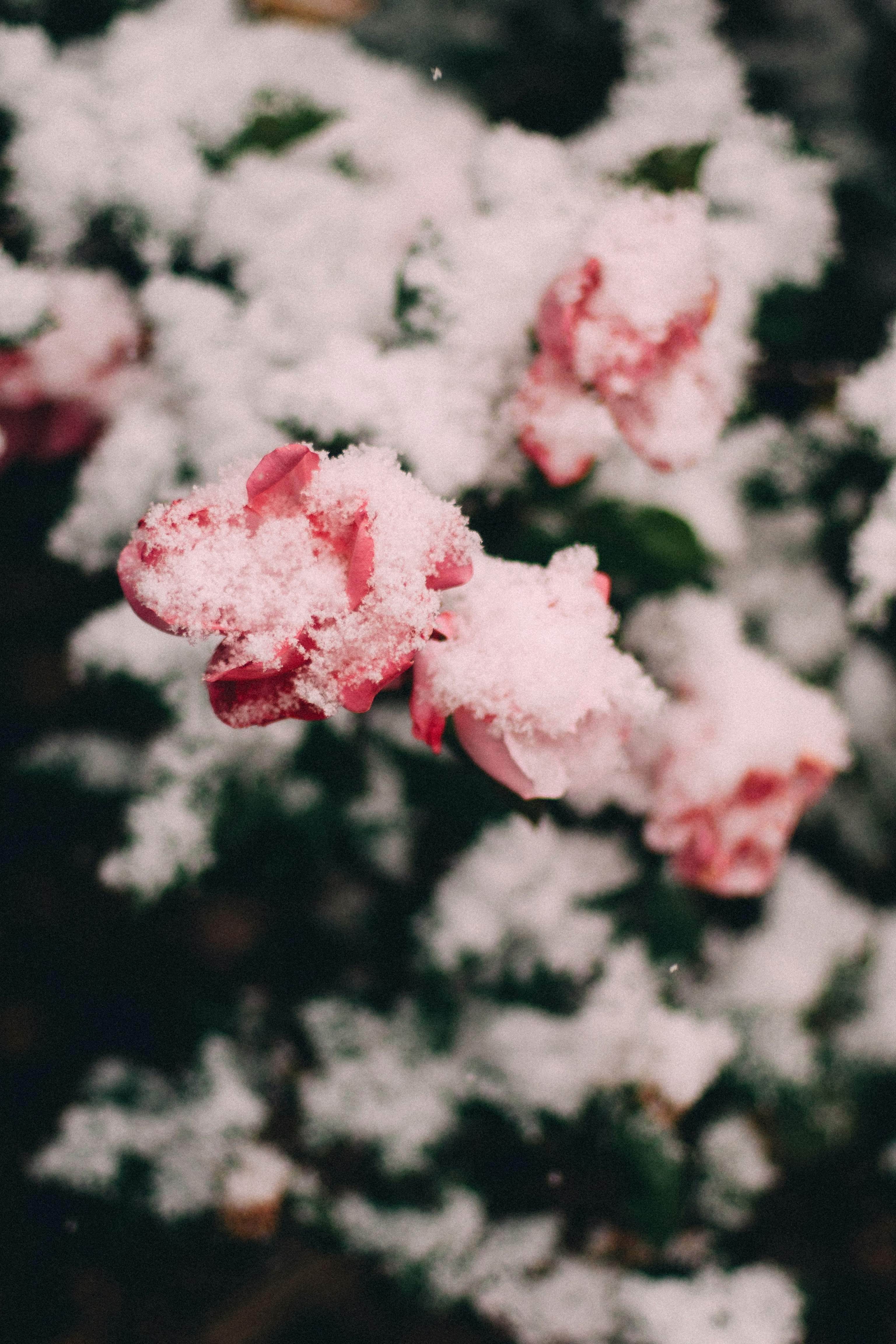 a close up of some snow