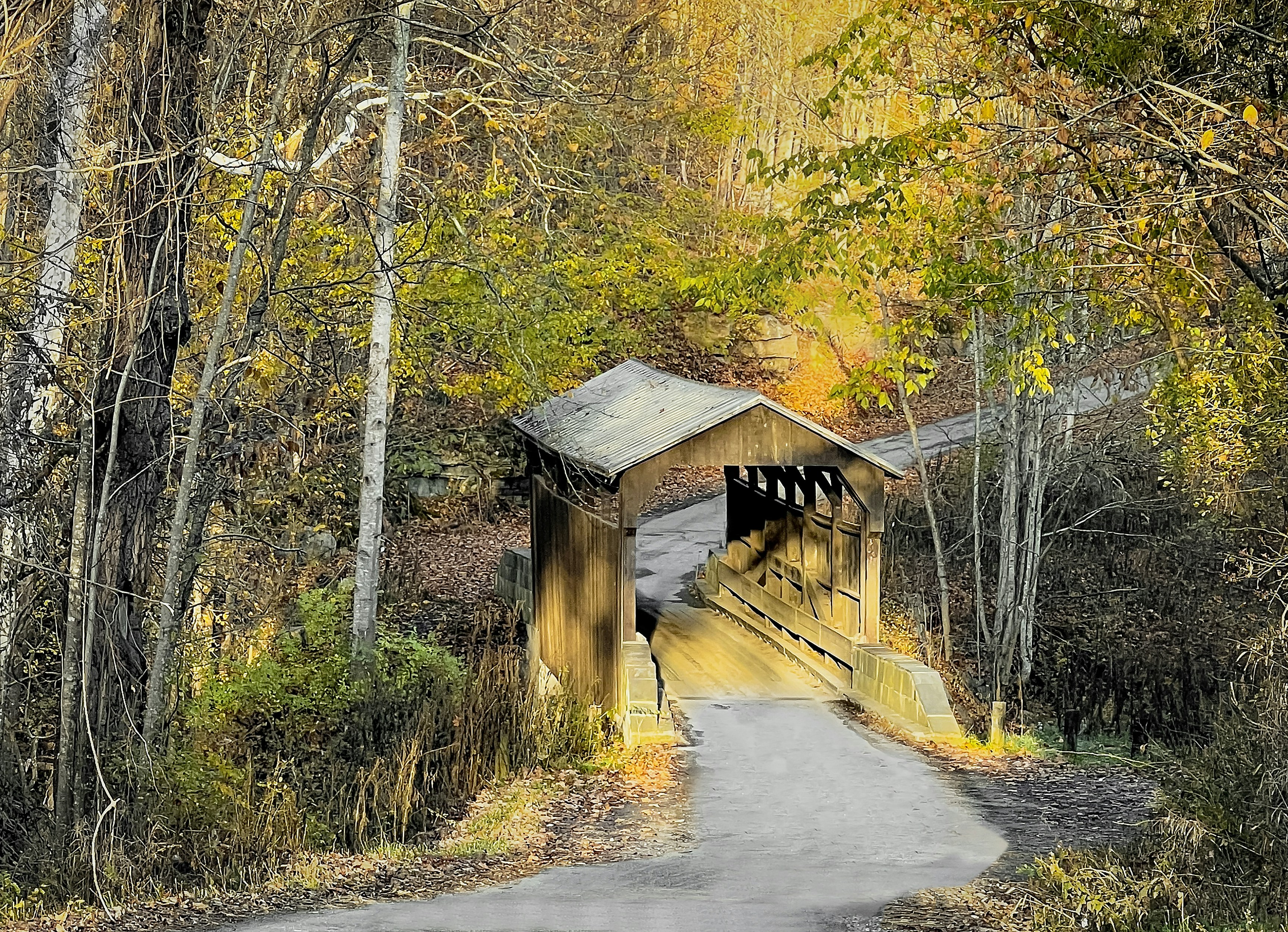 Golden-Leaf Bridge: A Quiet Arc Through Autumn Woods