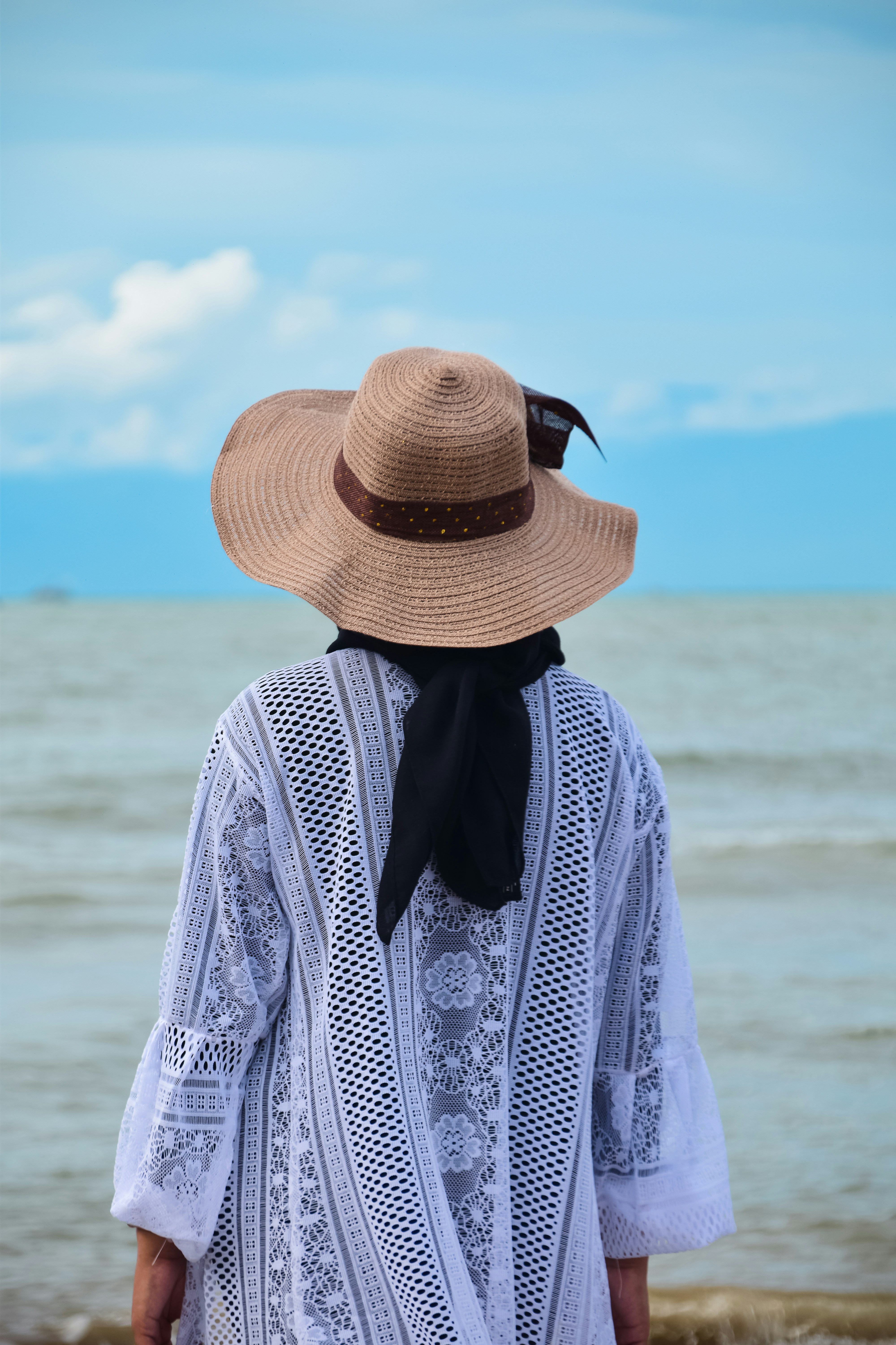 Tranquil Gaze at the Shoreline