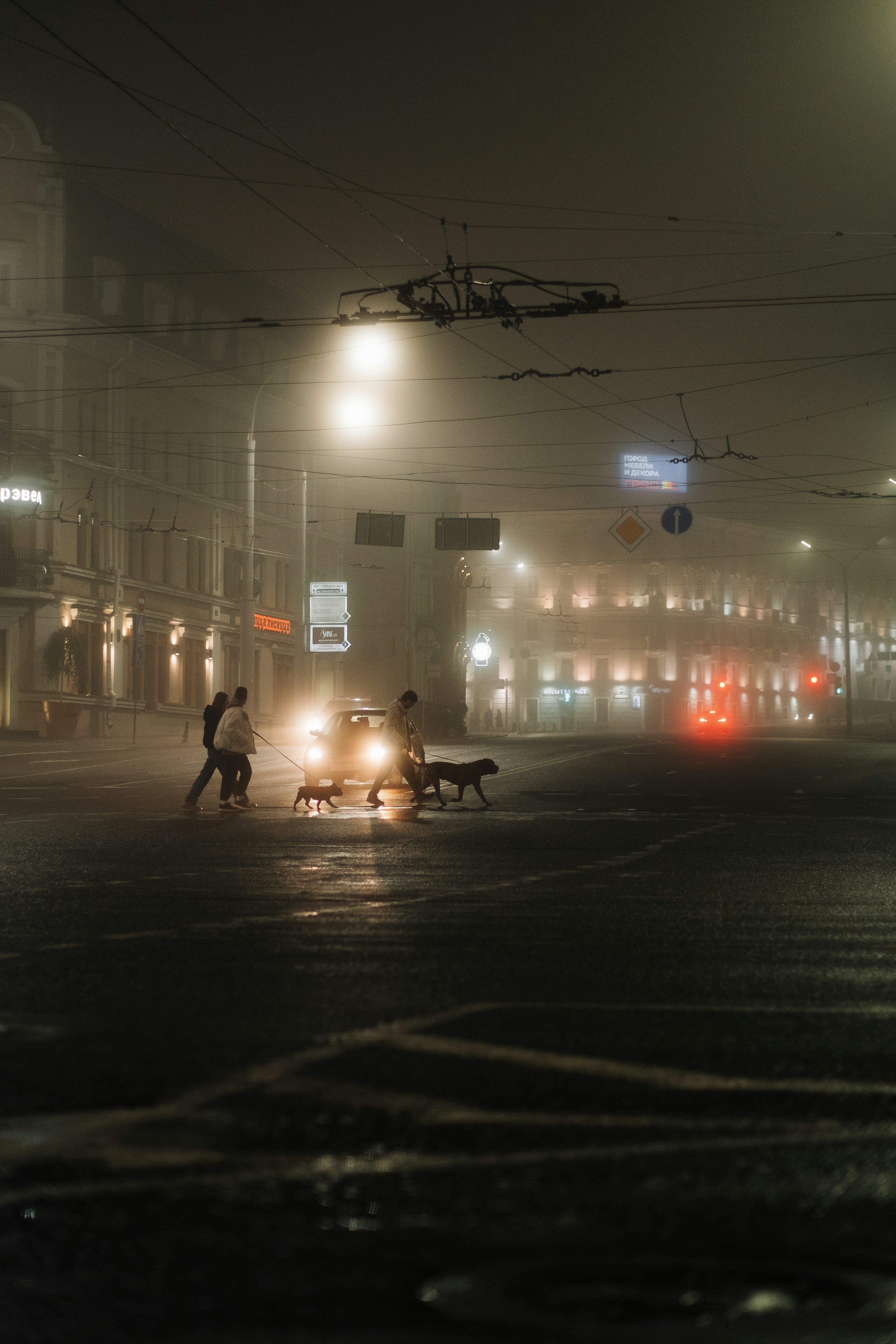 Fogbound Crossing: Pedestrians, Dogs, and Haloed Streetlights