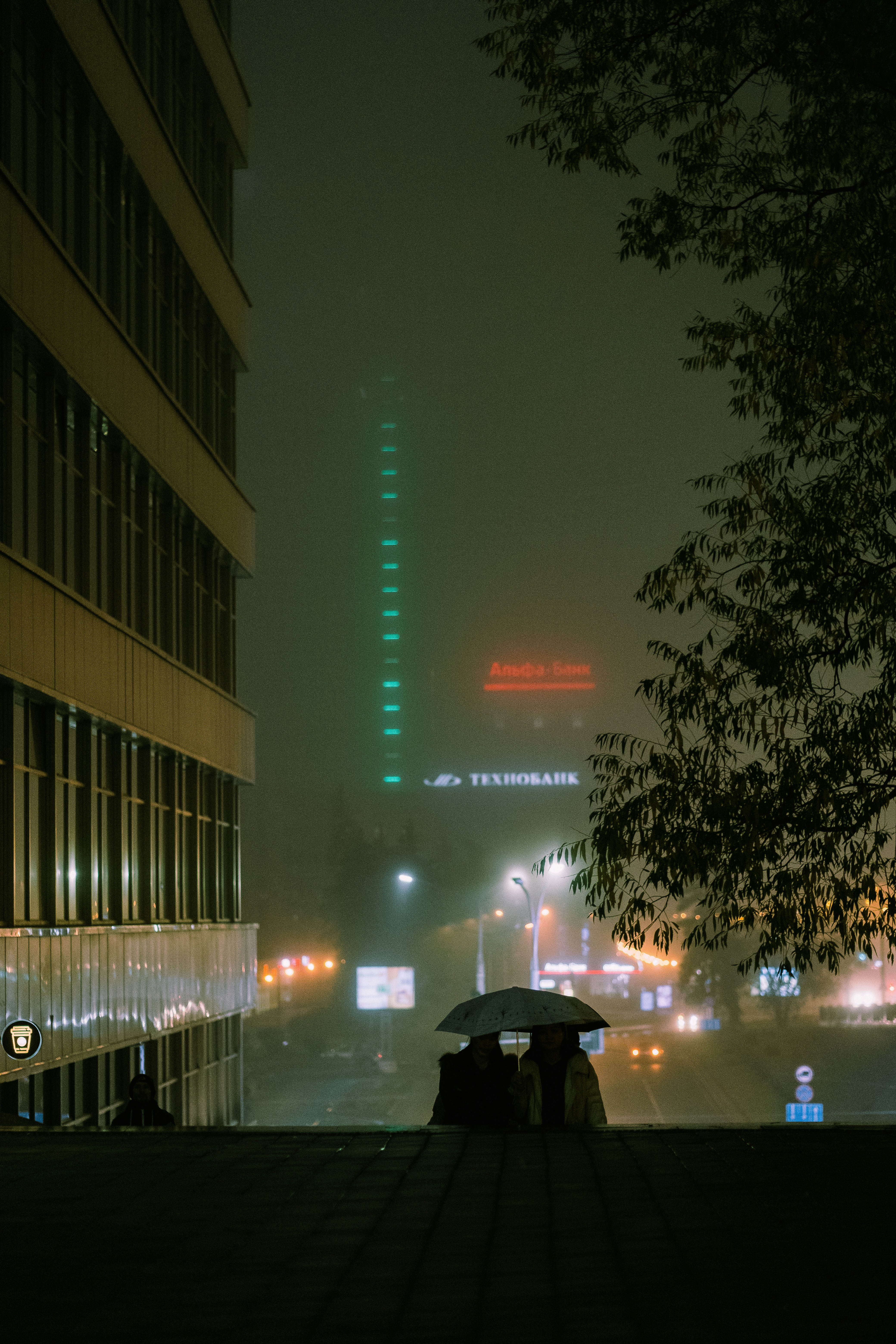 Neon Fog and Two Umbrellas: A Quiet Moment Above the City