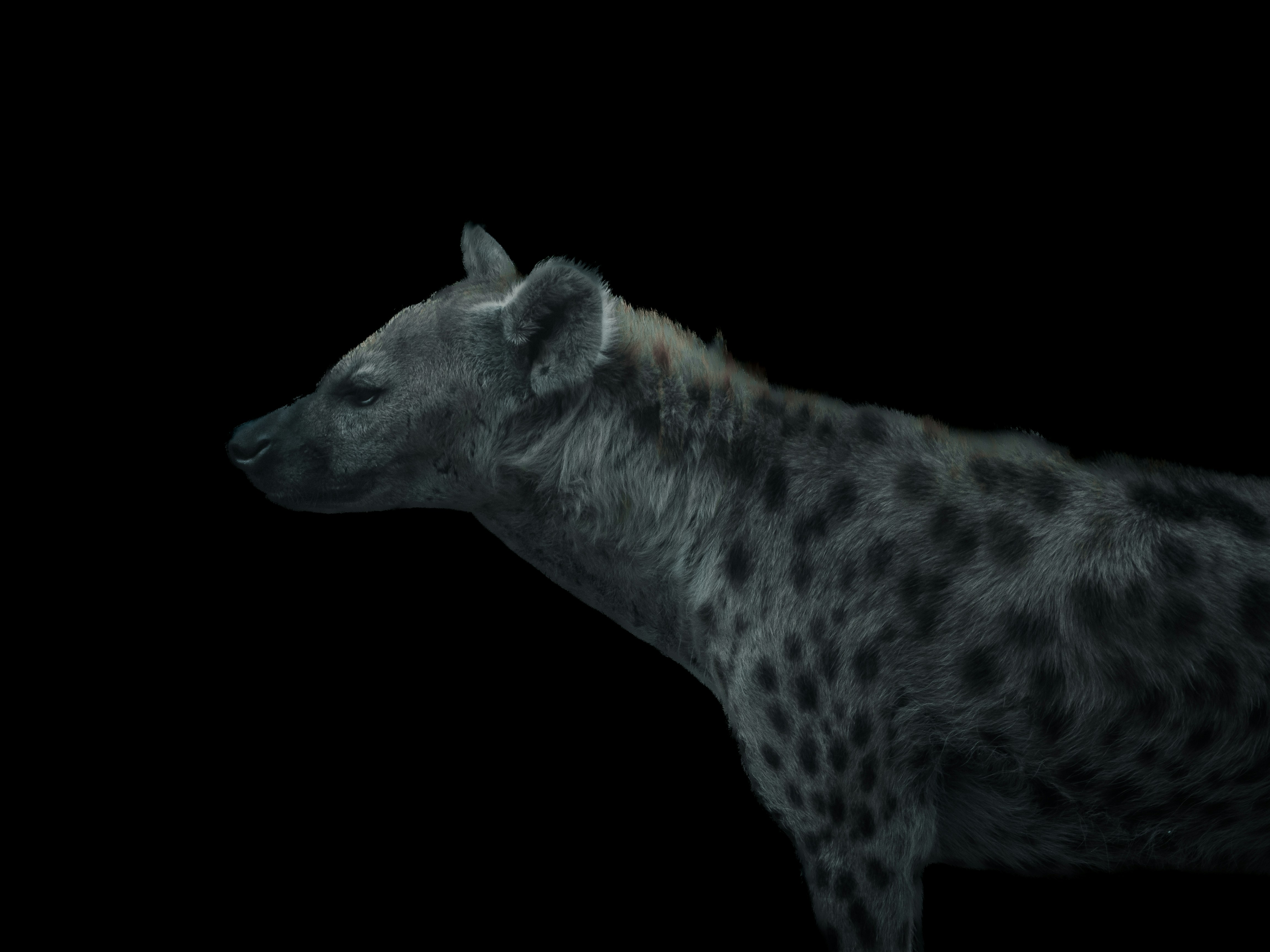 Photo by Karim Imanuel Fox with Olympus OM-D E-M10 Mark III