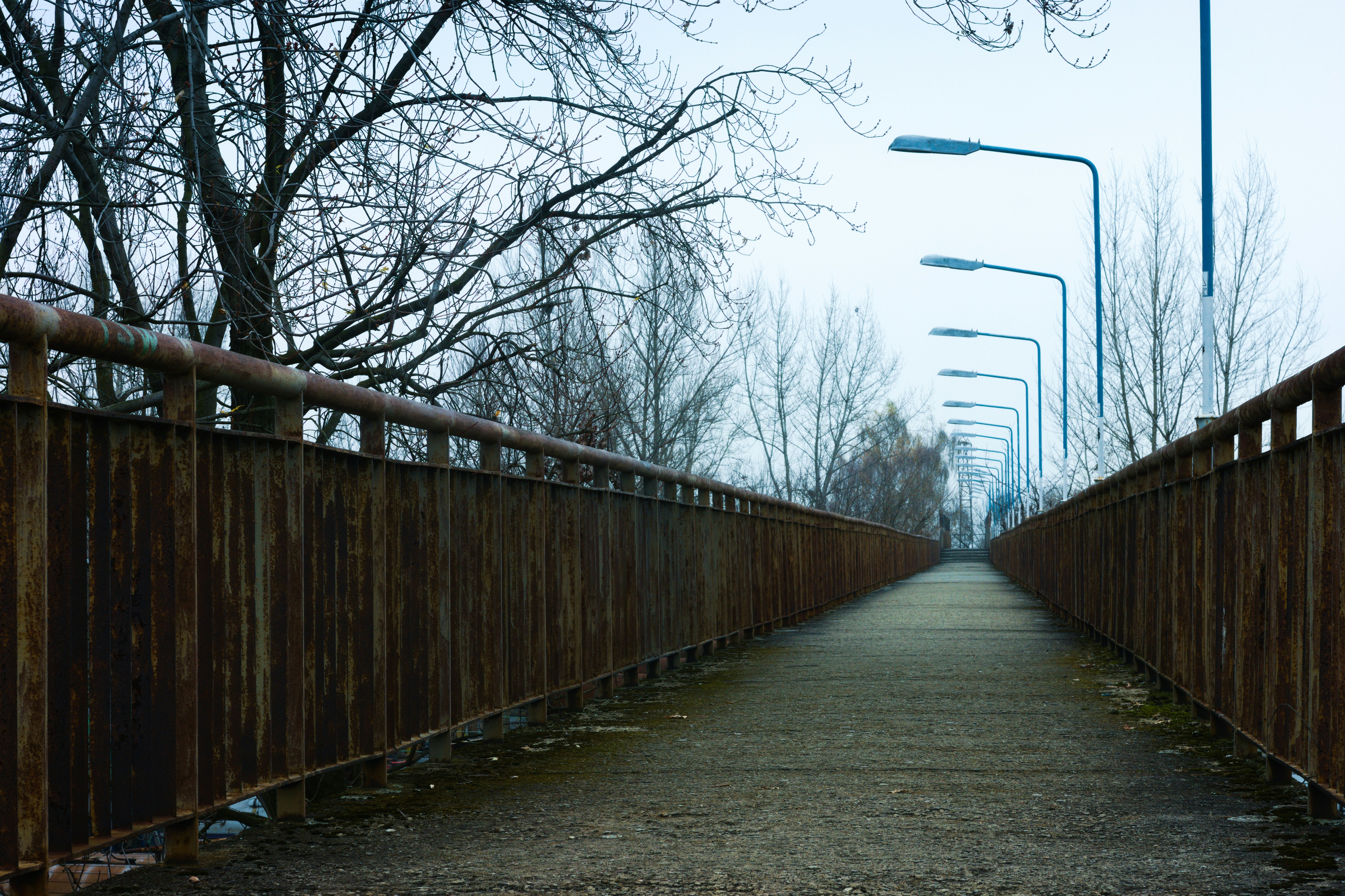 A bridge with a wooden railing photo – Free Bridge Image on Unsplash