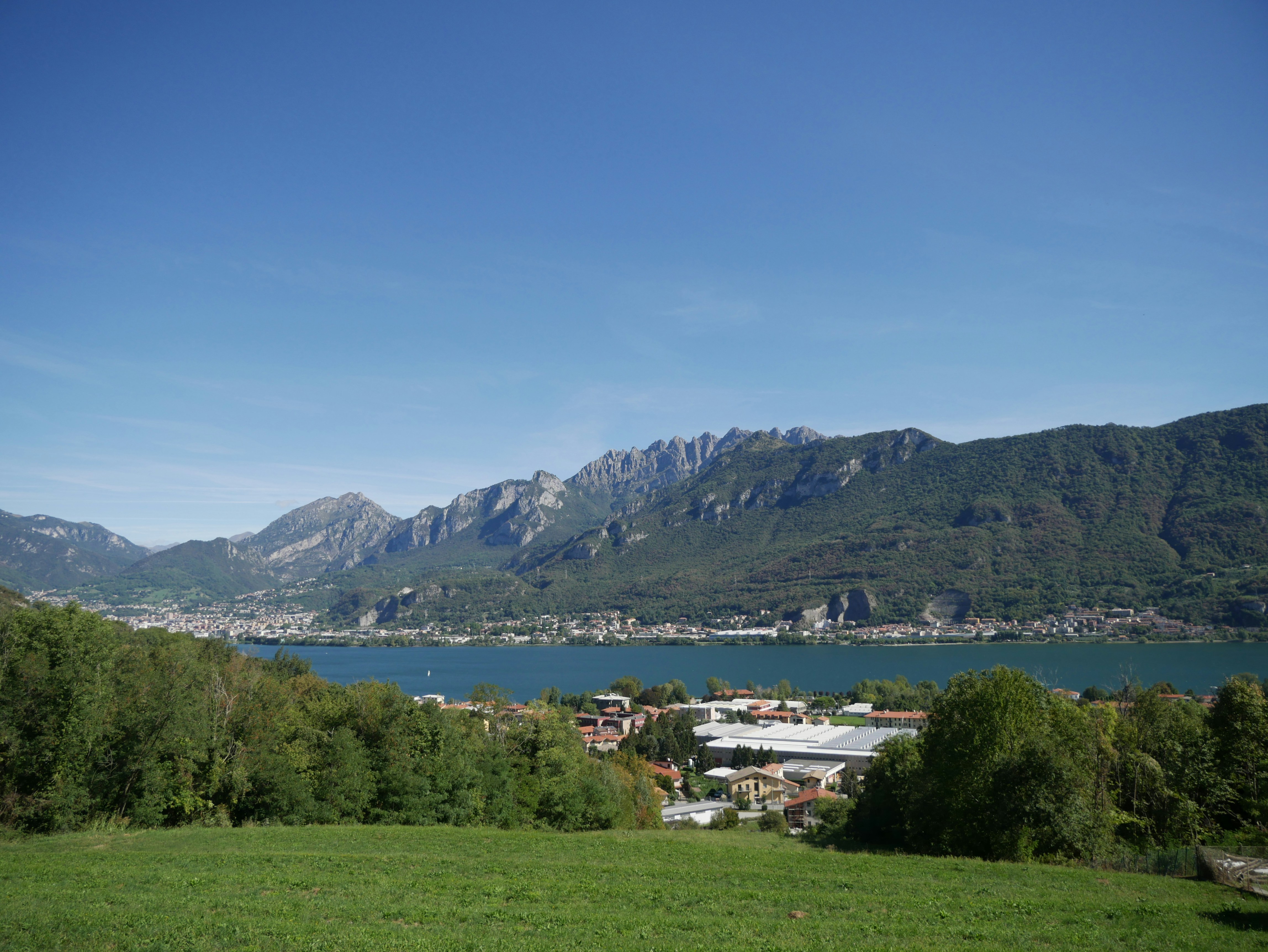 a body of water with buildings and trees around it