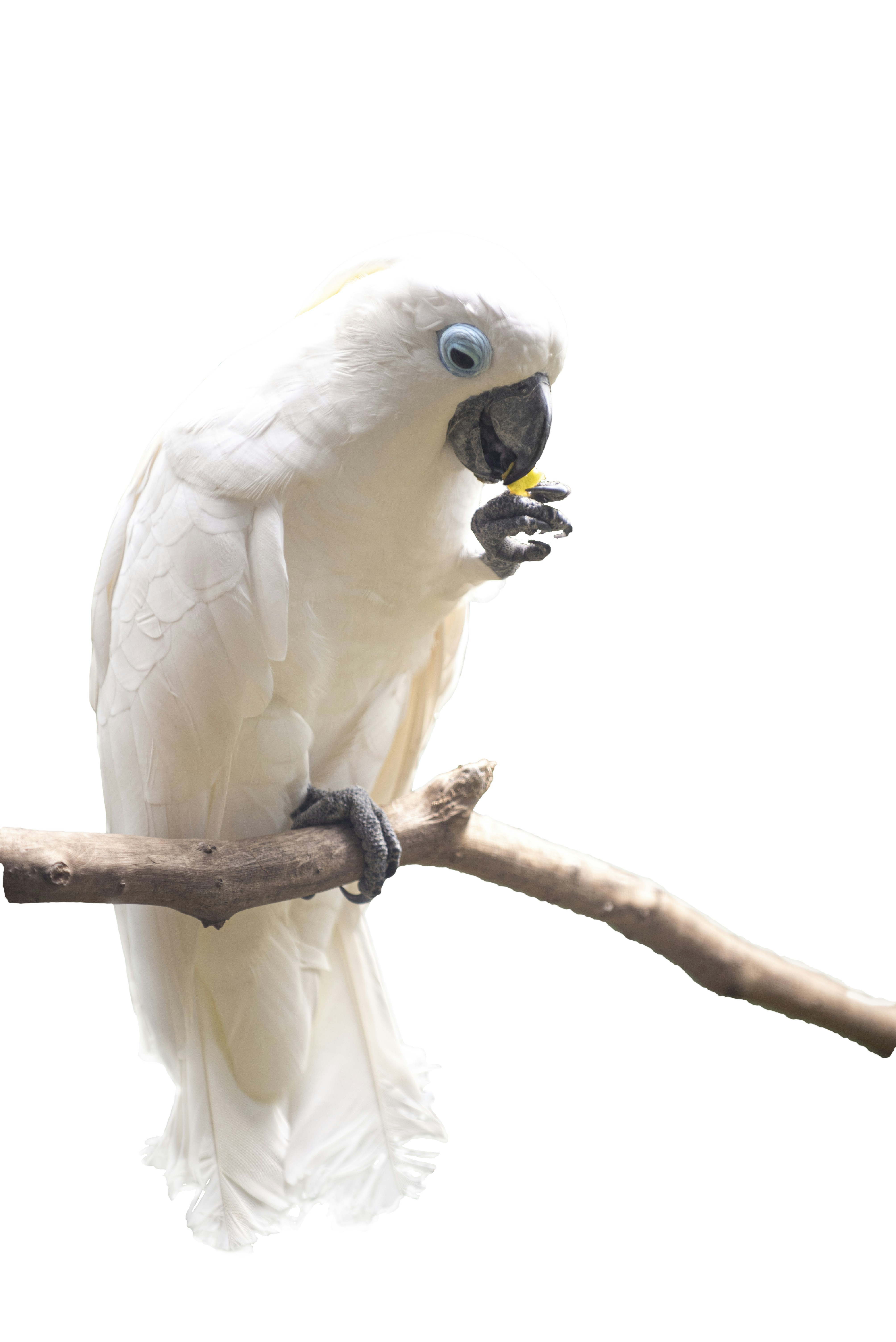 Sunny San Myint (@ksmsunny) | Komunitas Foto Unsplash