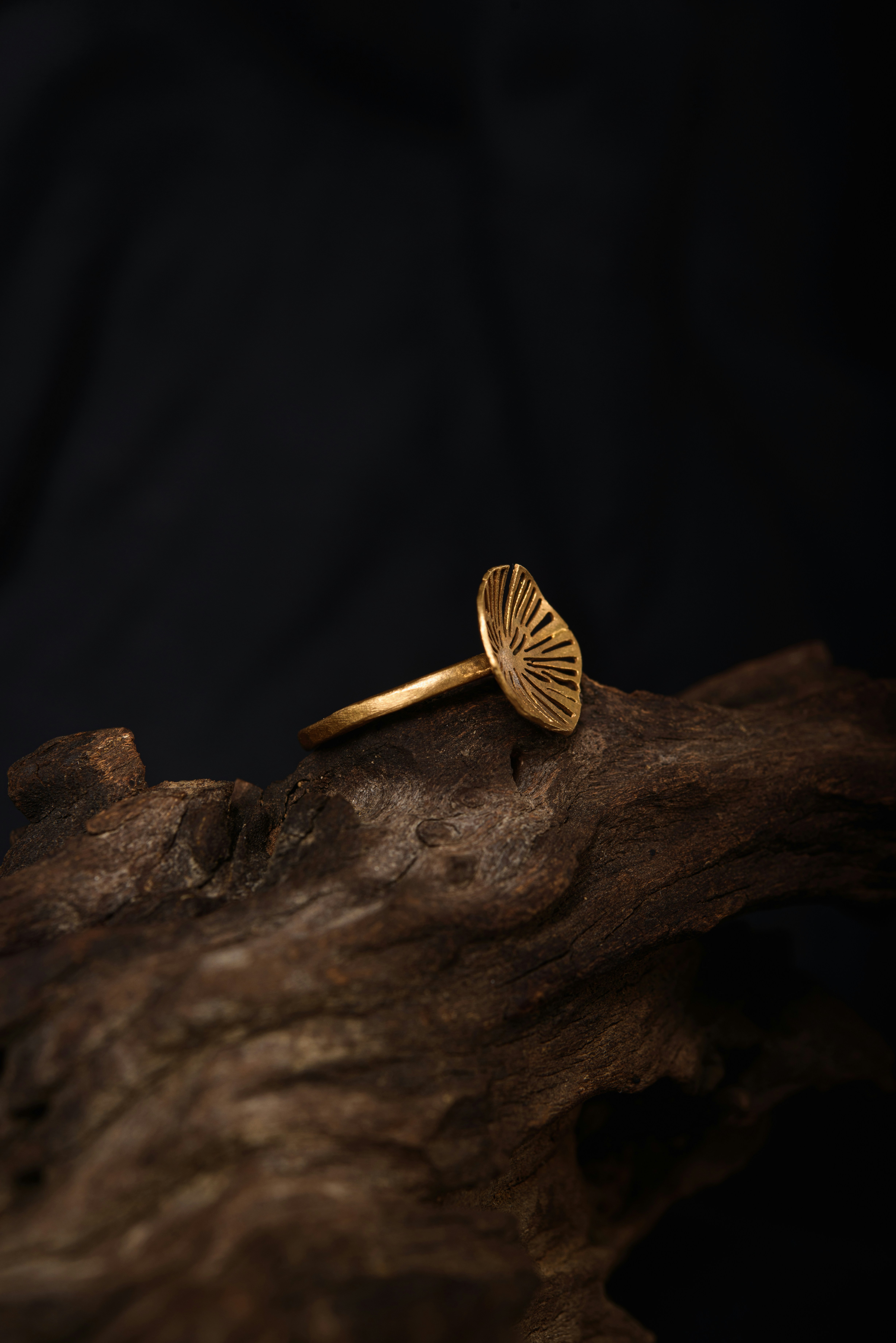 Gossamer-Gold Ring Resting on Weathered Drift