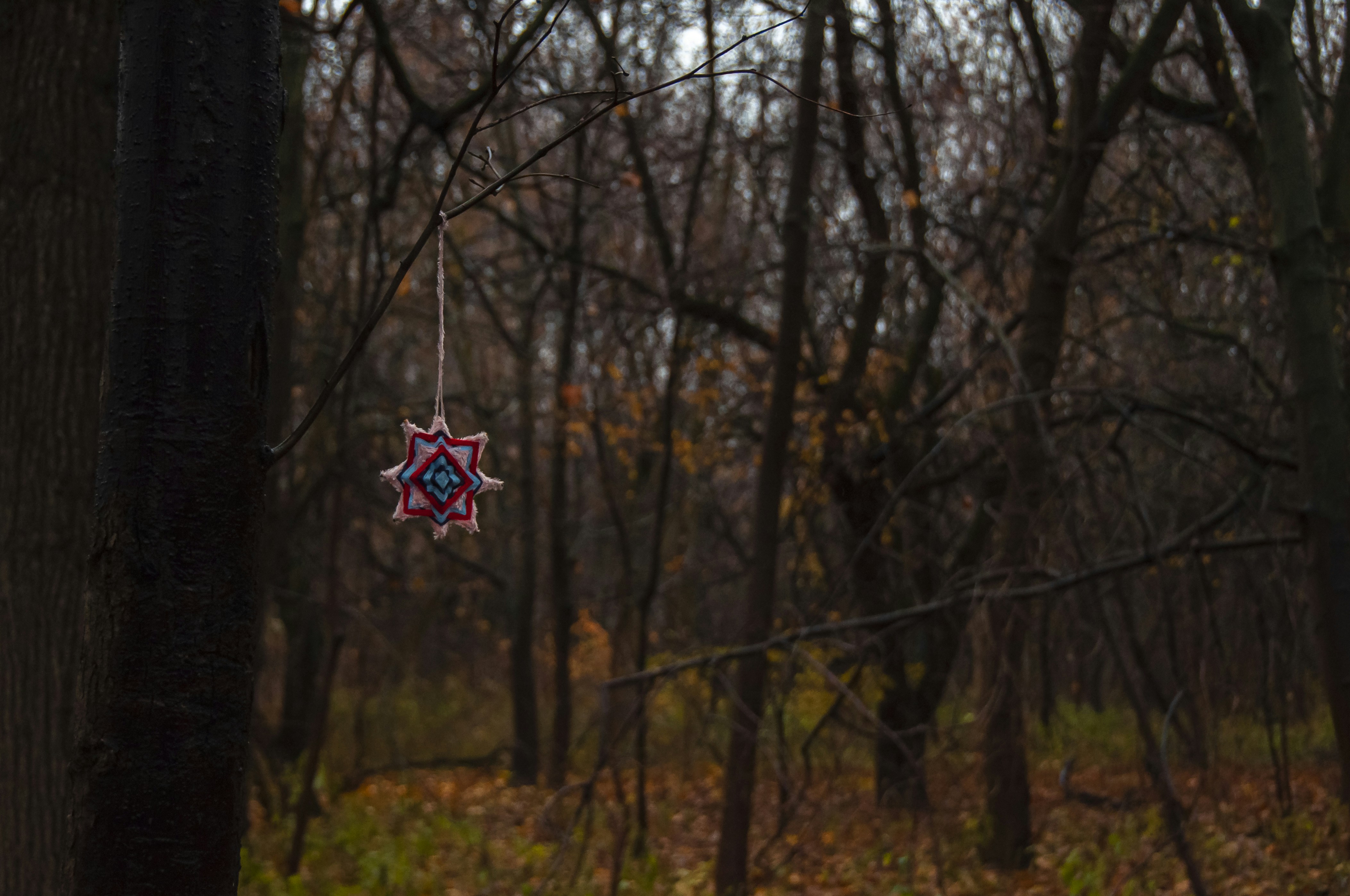 Photo by Nikita Nikitenko with Nikon D5000