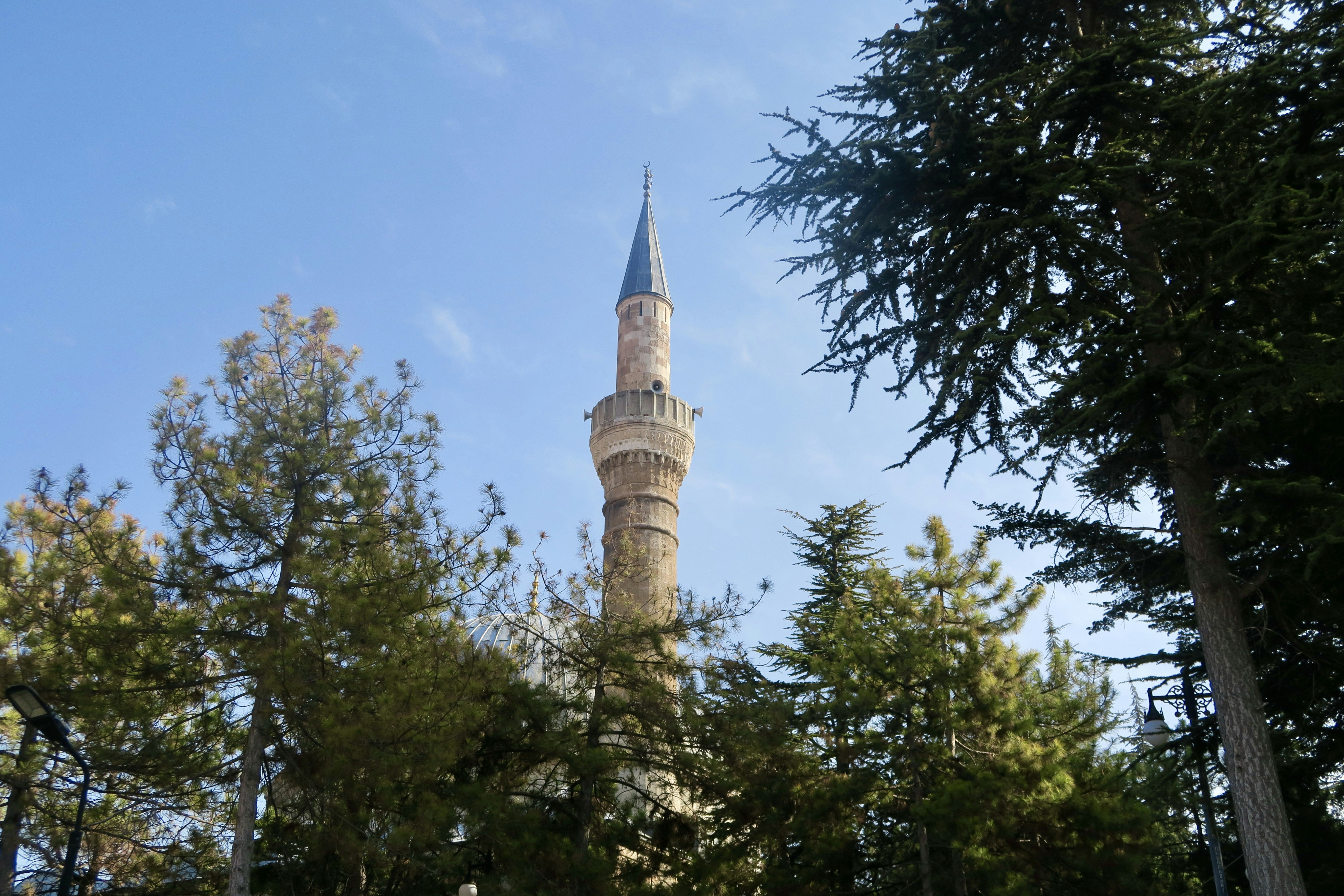 Minaret Amidst Verdant Canopy