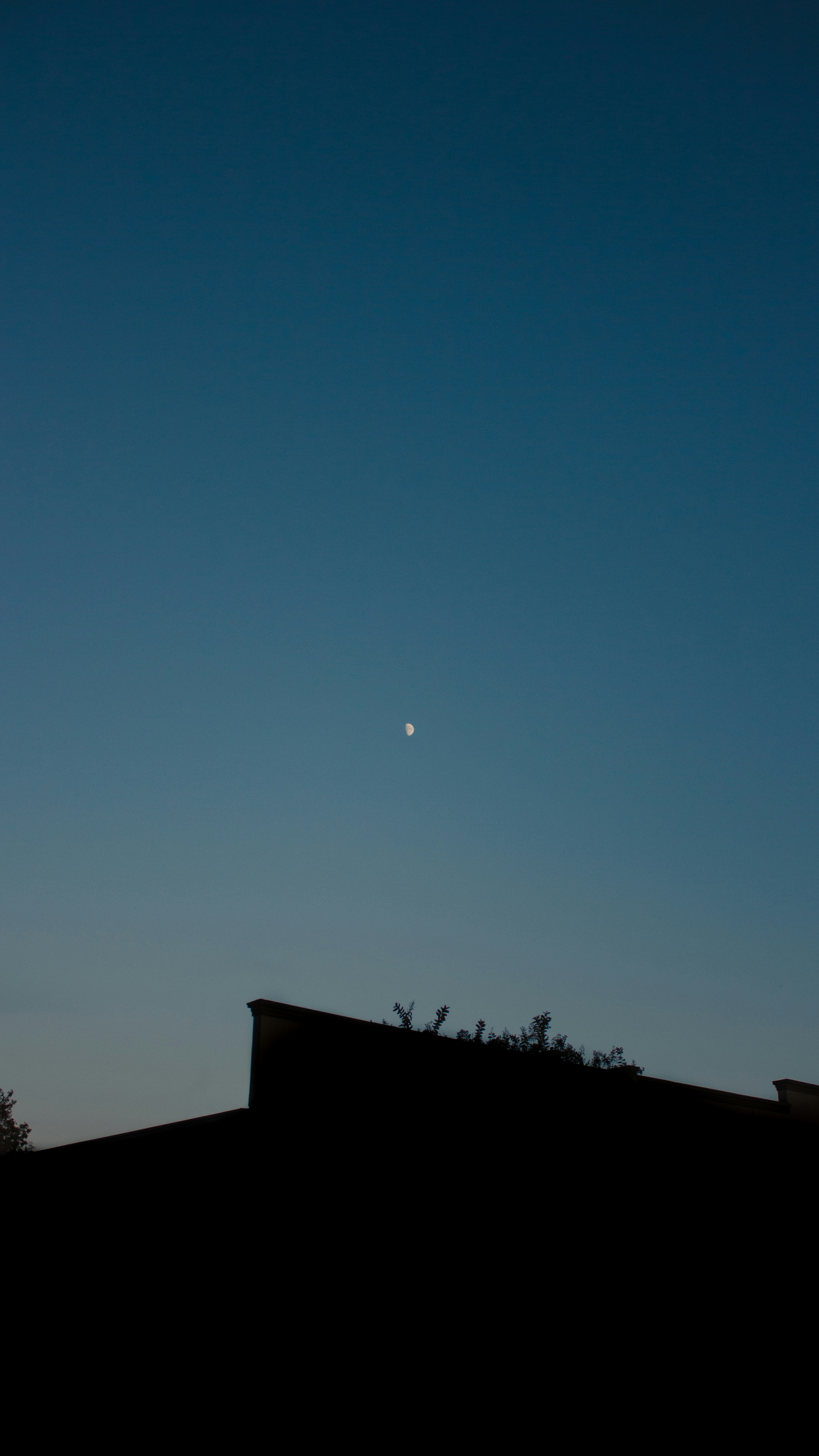 Photo by Sean D with Canon EOS 600D