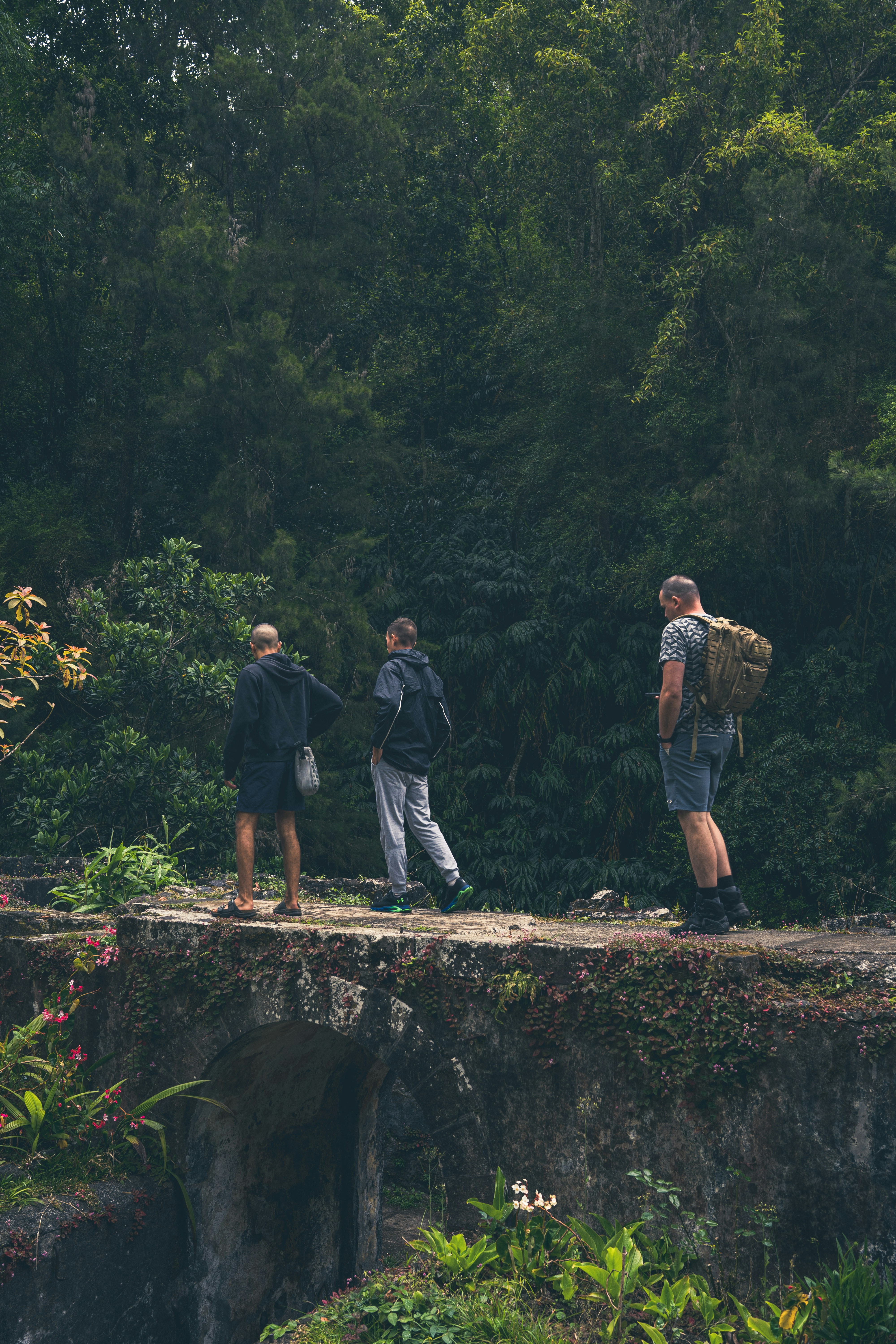 Three hikers traverse a mossy stone bridge in a lush, dense forest.