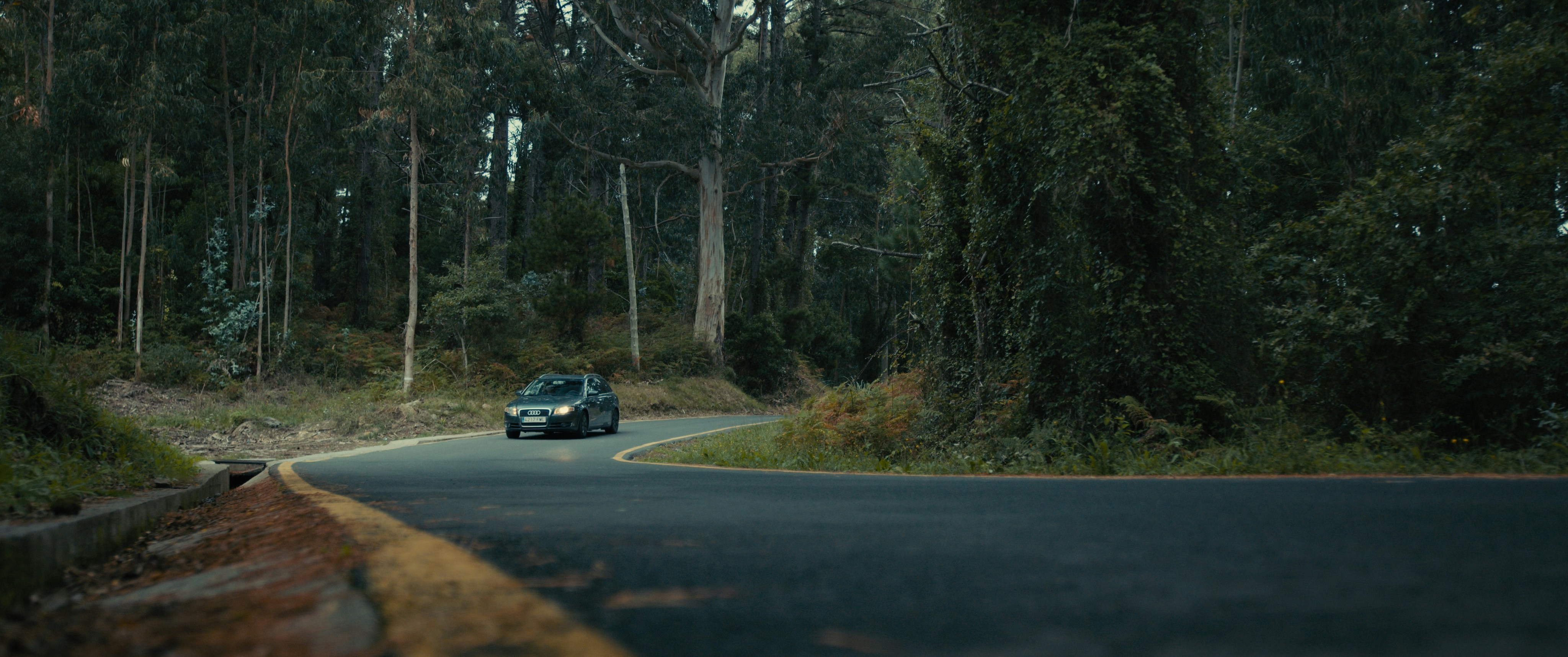 A car driving on a road surrounded by trees photo – Free Audi Image on ...