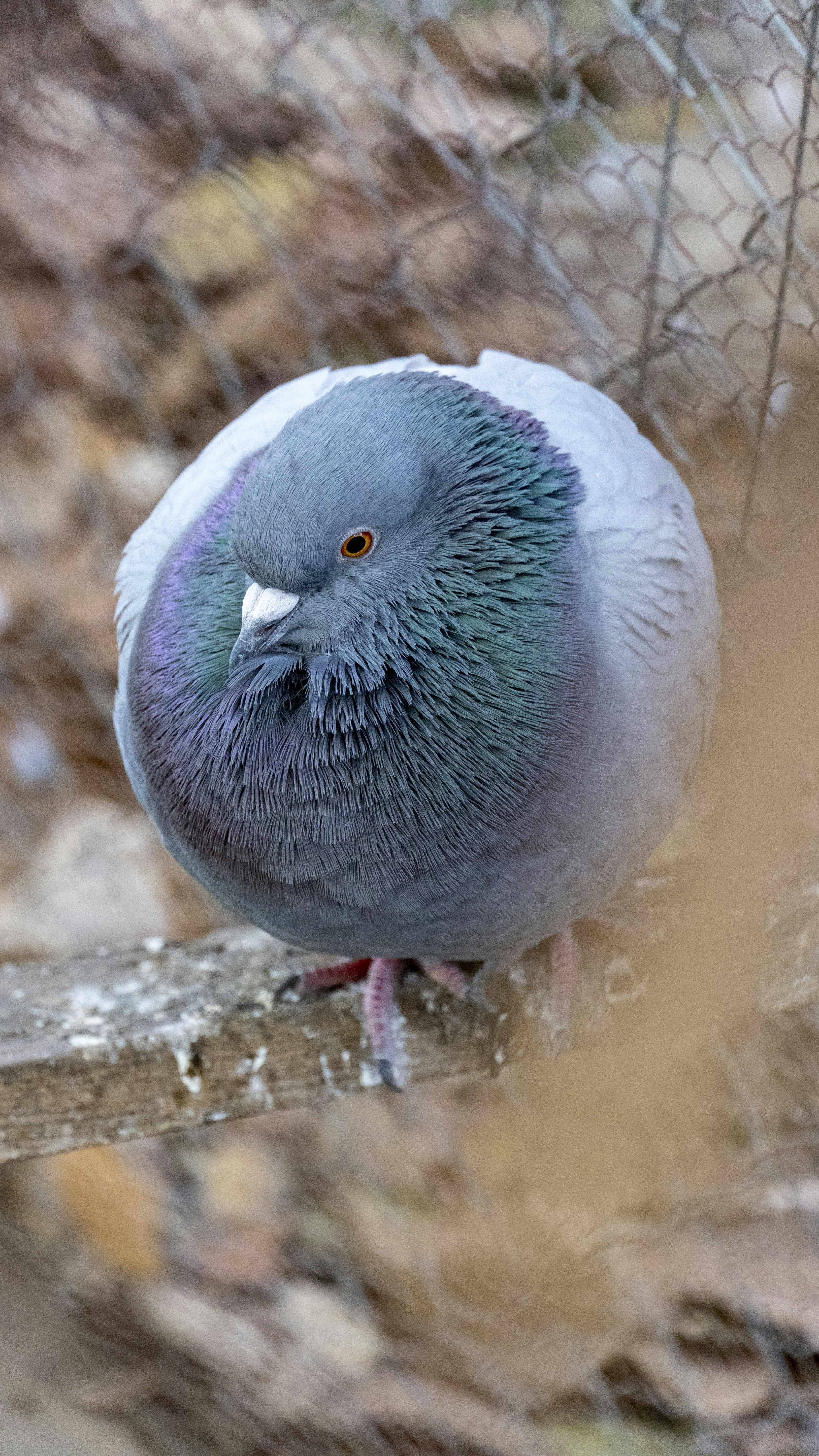 Photo by Luba Ertel with Sony Alpha 6400