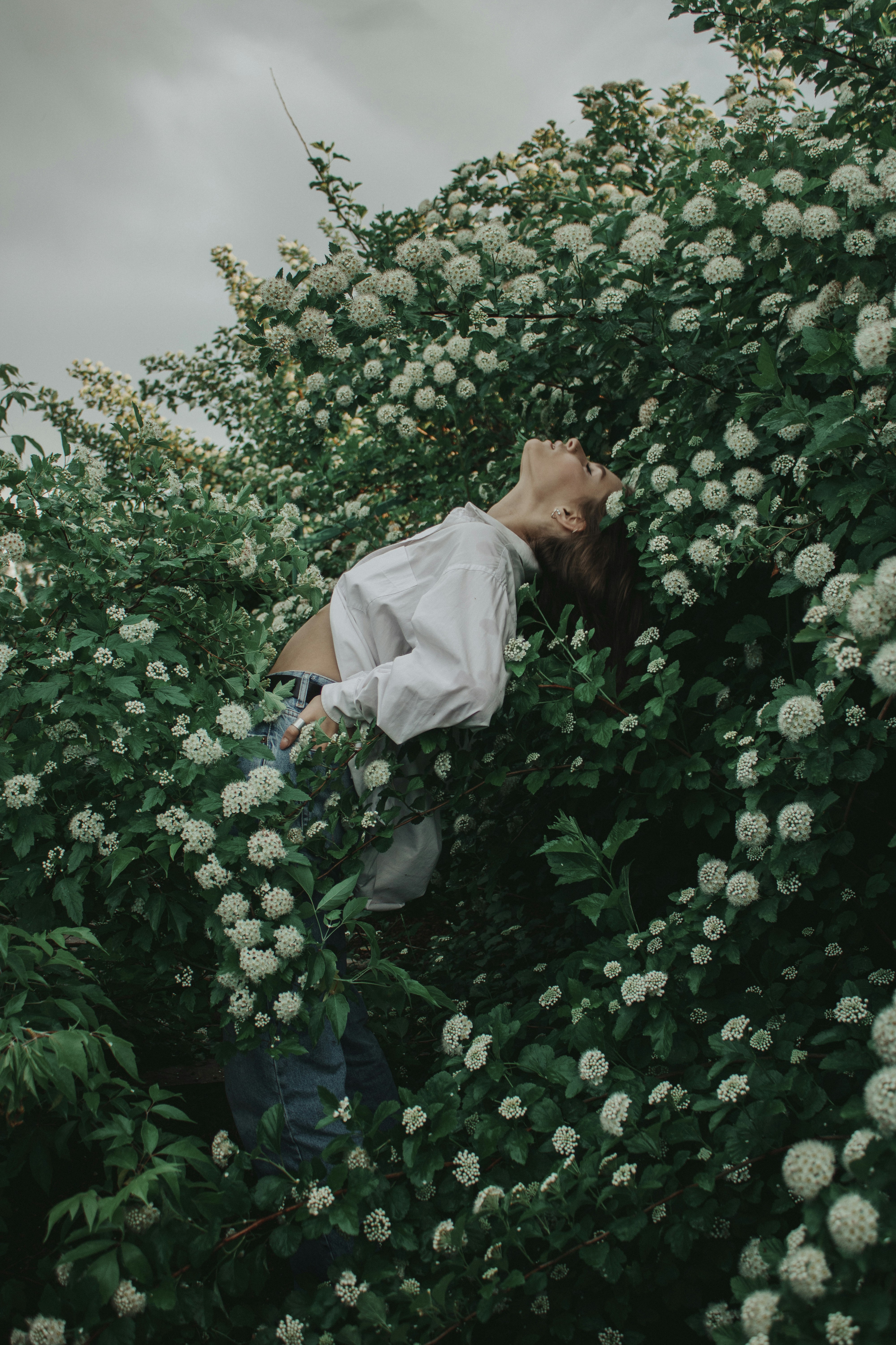 A person lying in a bush photo – Free Minsk Image on Unsplash