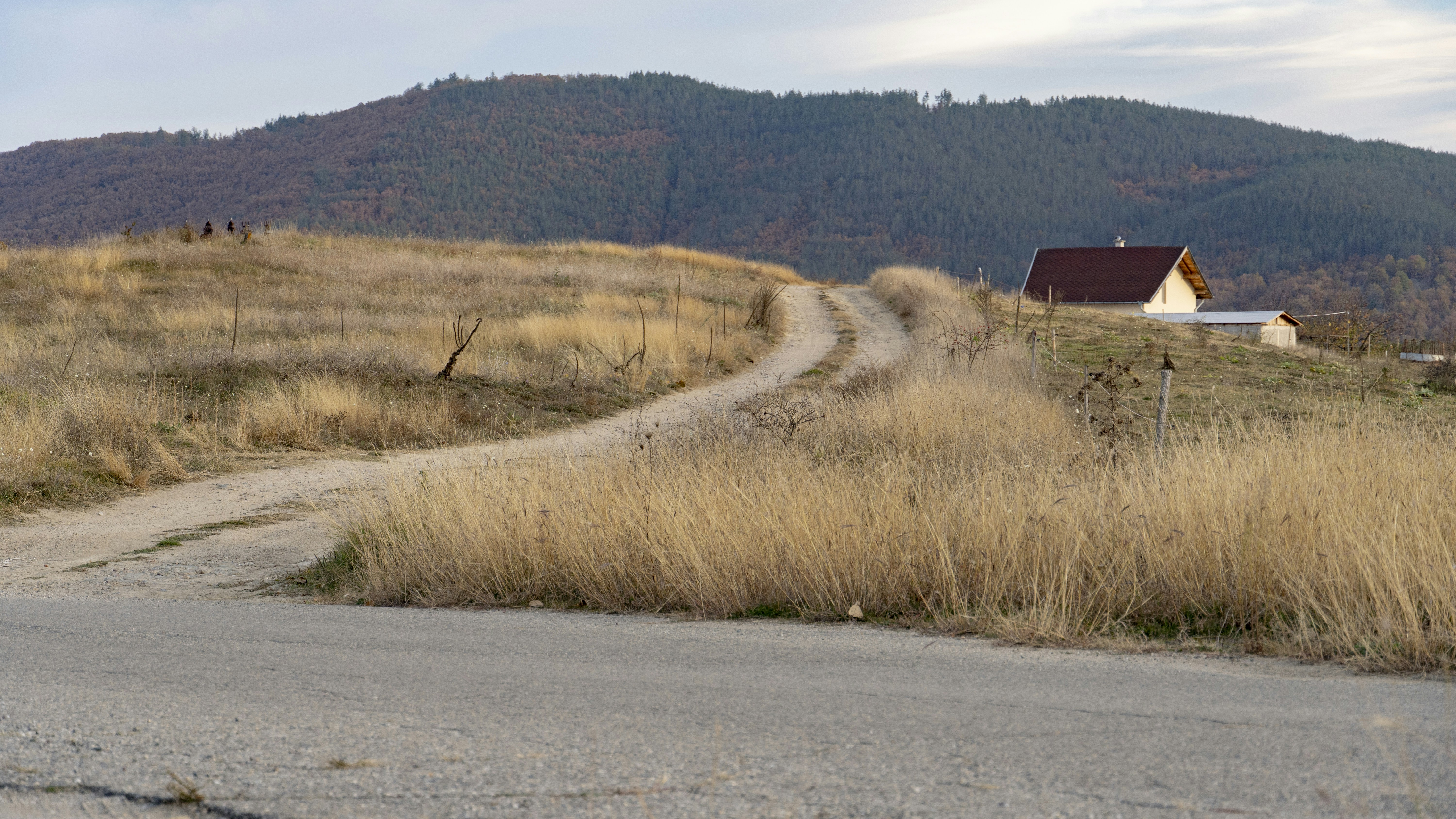 Dusty Road to a Quiet Ridge