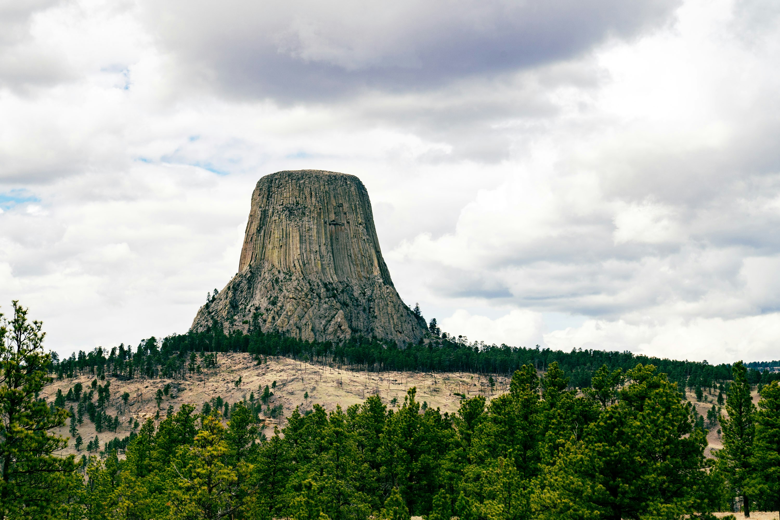 A large rock formation in the middle of a forest with Devils Tower in ...