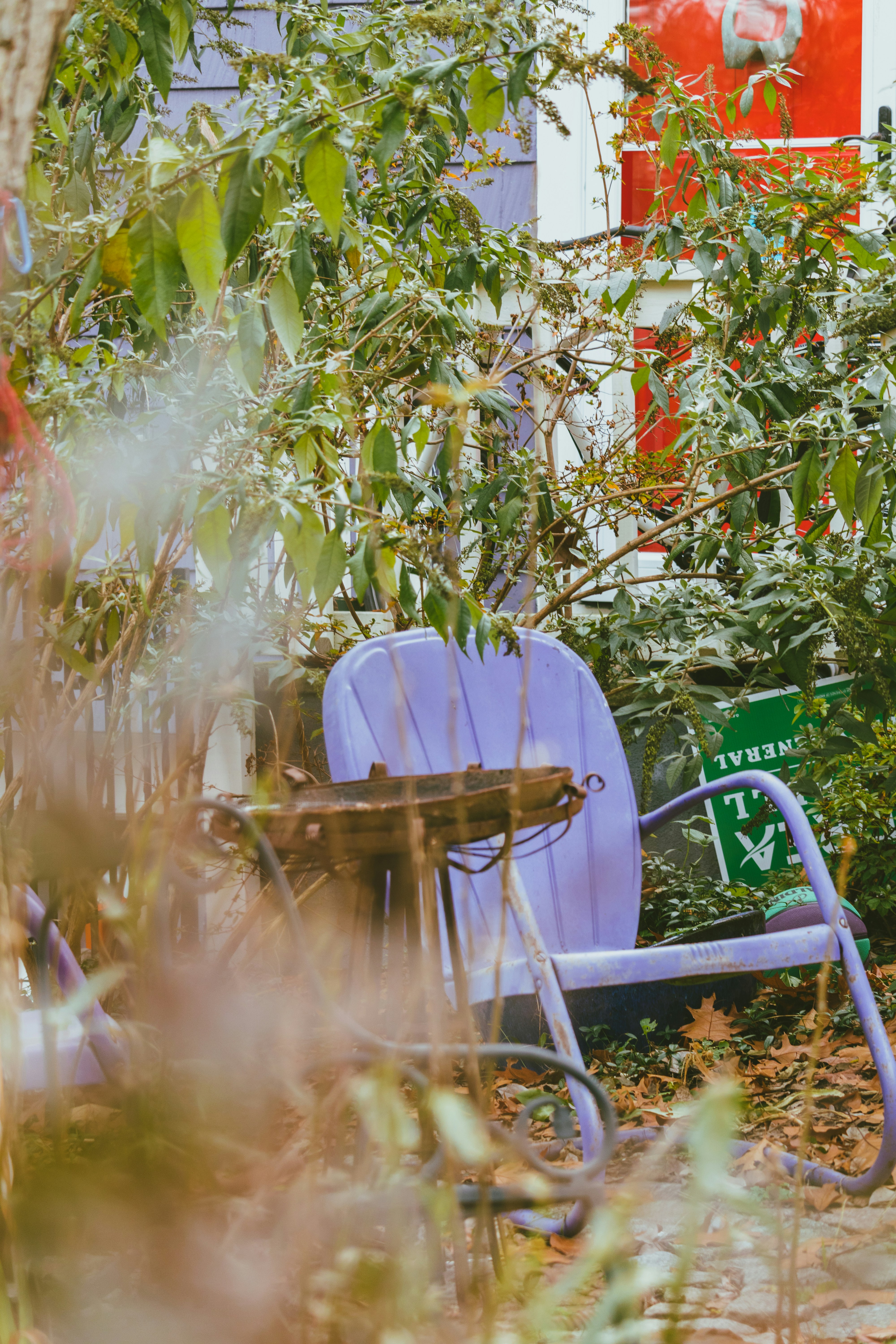 a chair in a garden