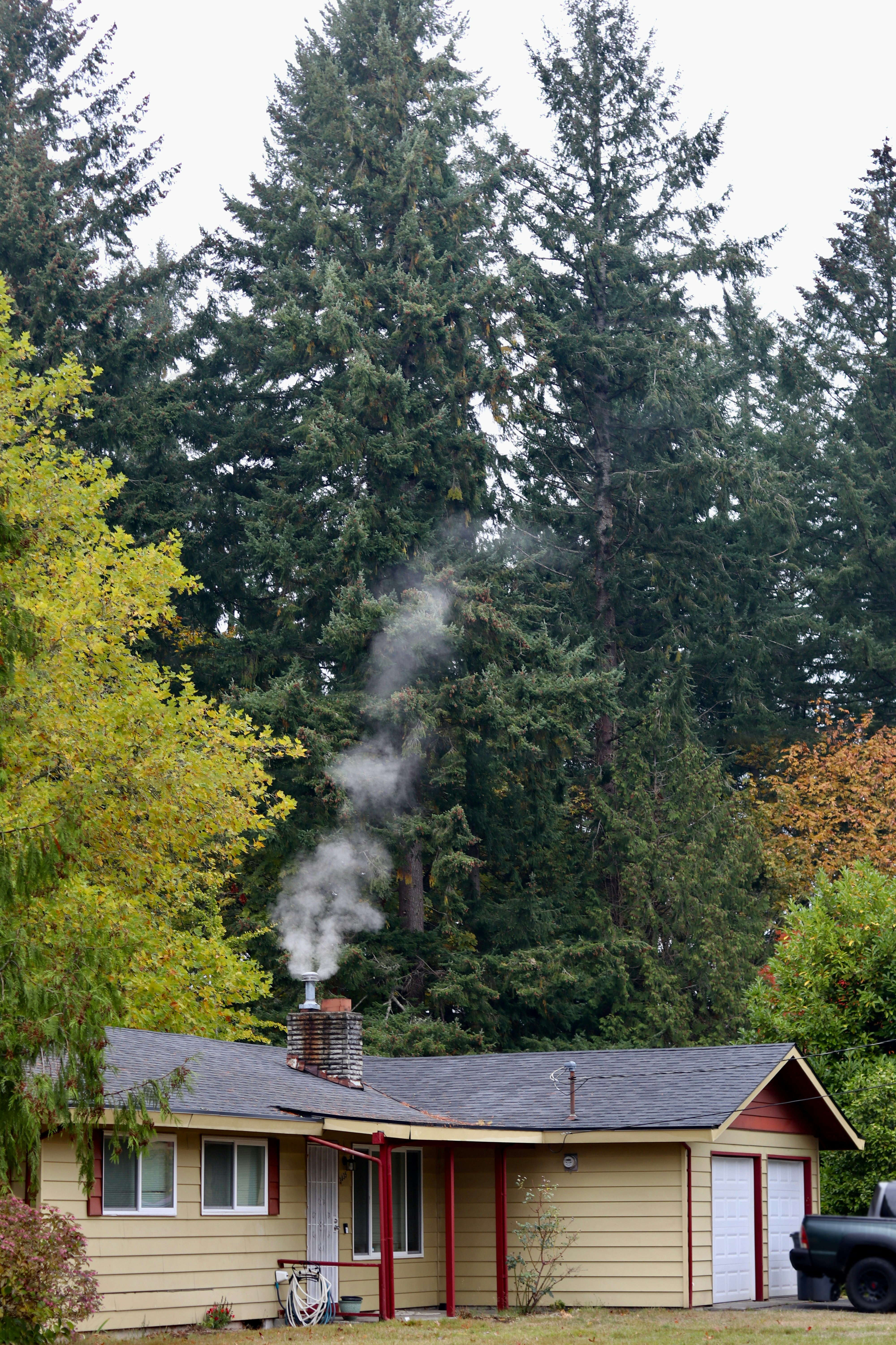 Chimney Smoke Rising Over a Suburban Cabin Beneath Evergreen Giants