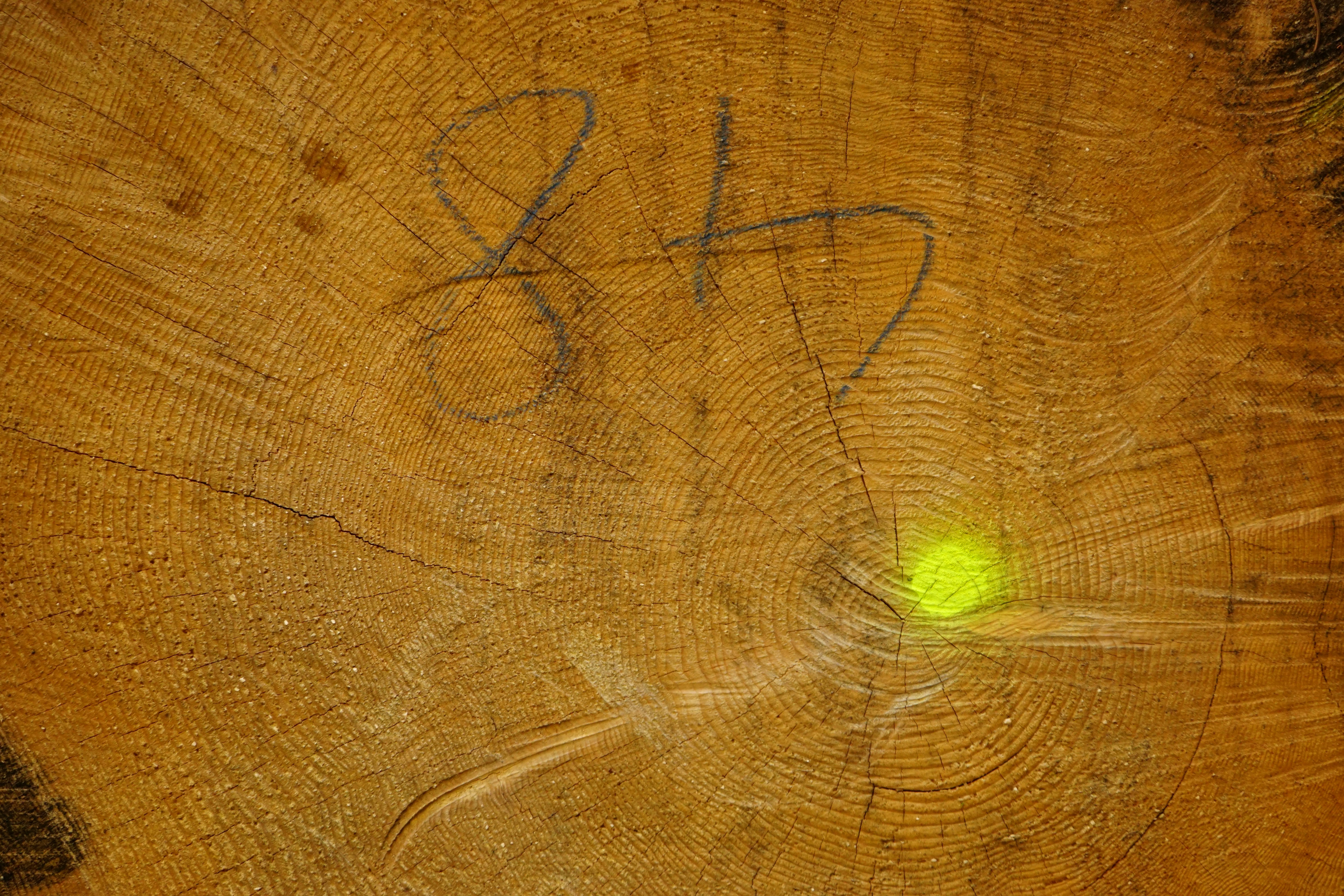 Photo by Artur Opala with Sony Alpha 6000