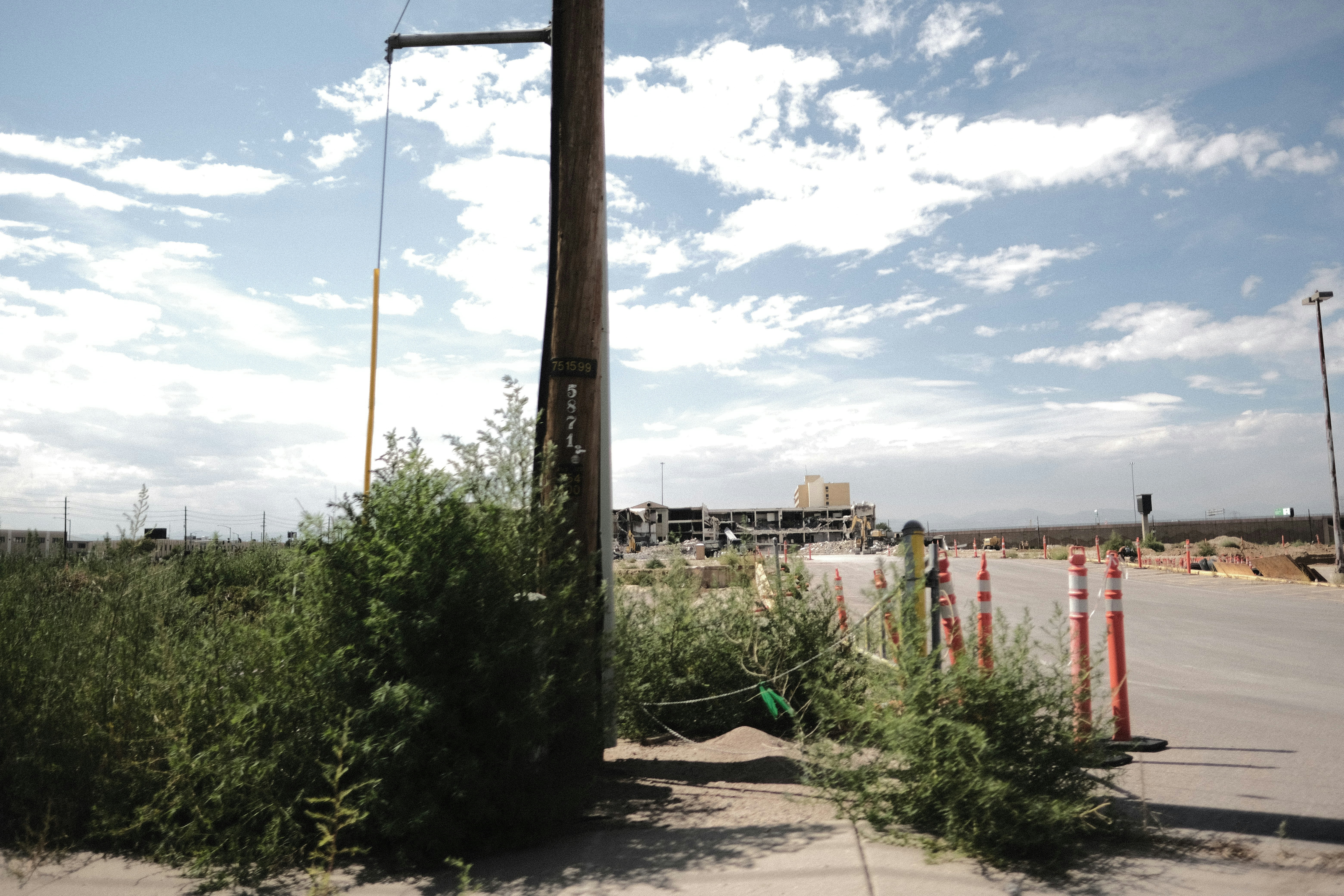 Deserted construction edge: a weathered utility pole amid scrubby roadside chaos
