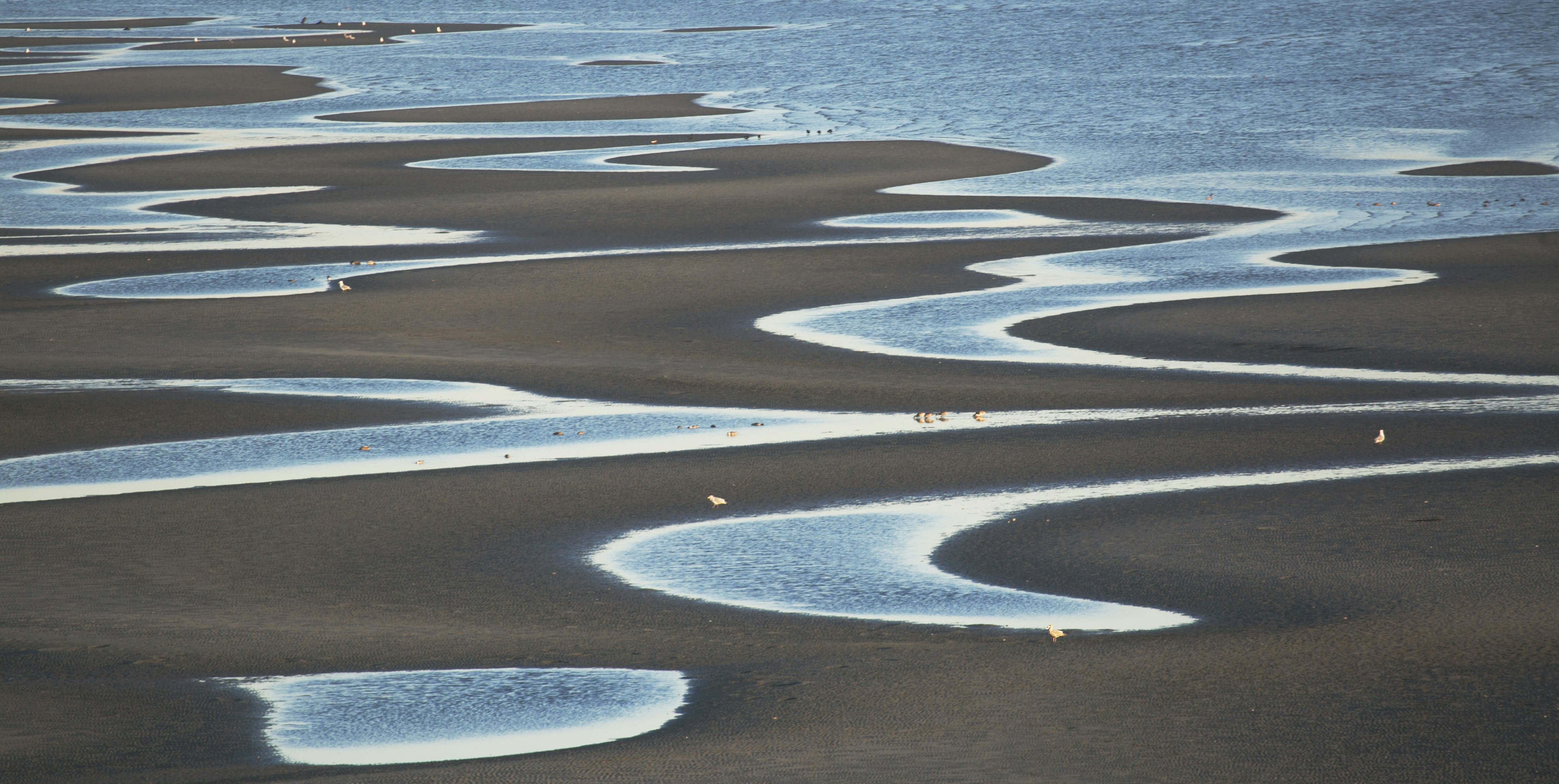 A beach with many small pools of water photo – Free Water Image on Unsplash